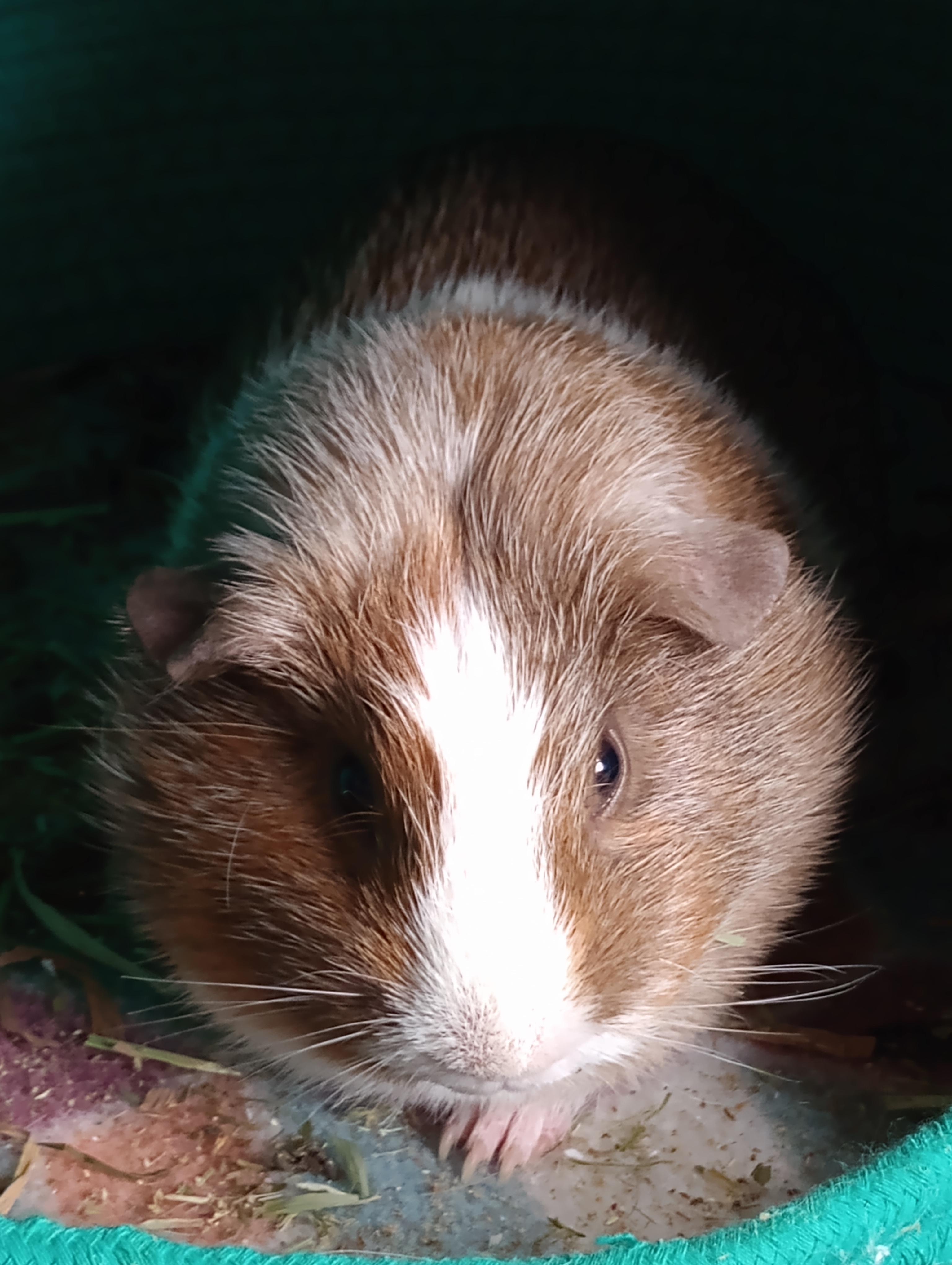 Griffith crossed the rainbow bridge | Scrolller