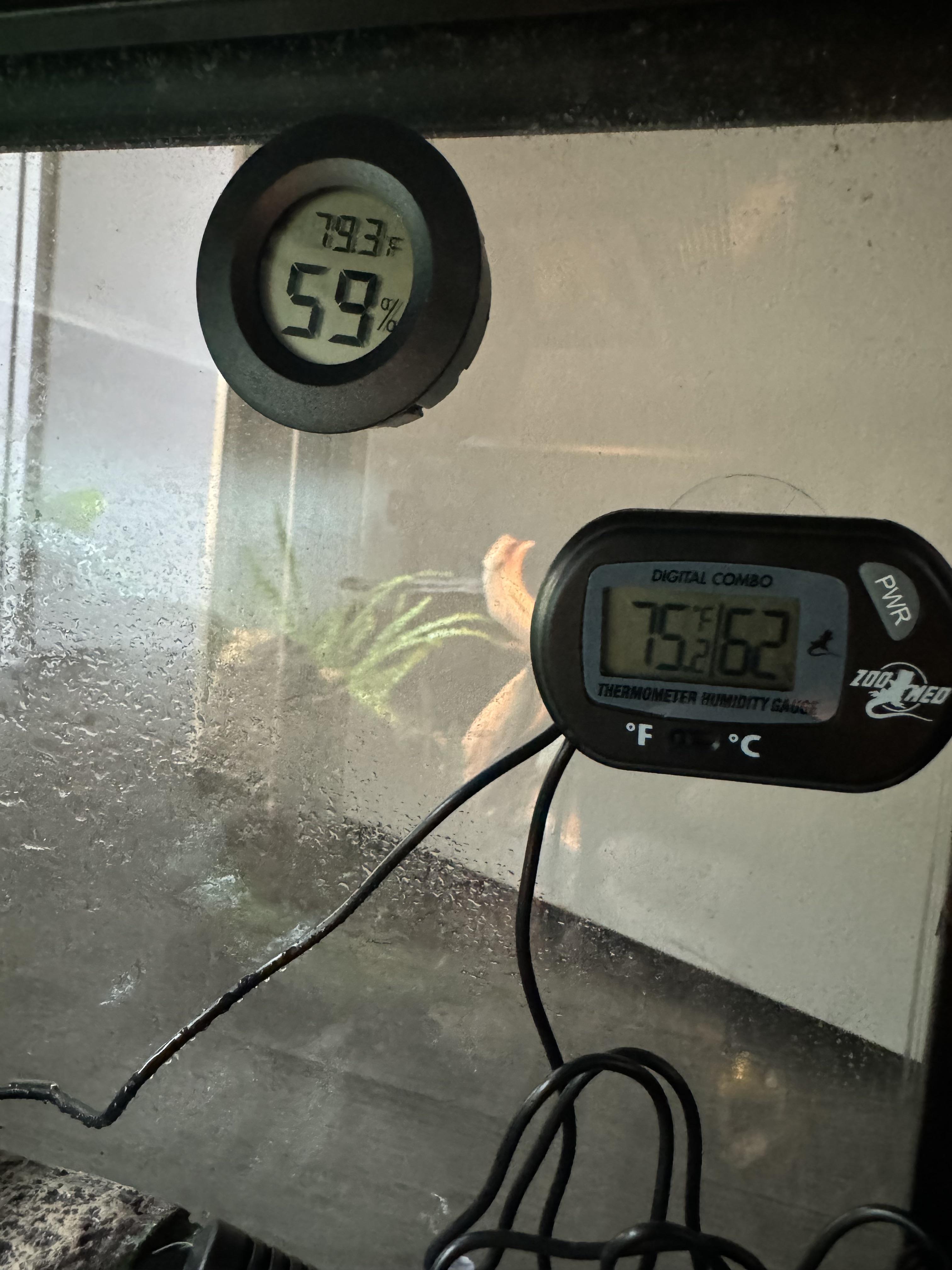 Normal resting? | Scrolller