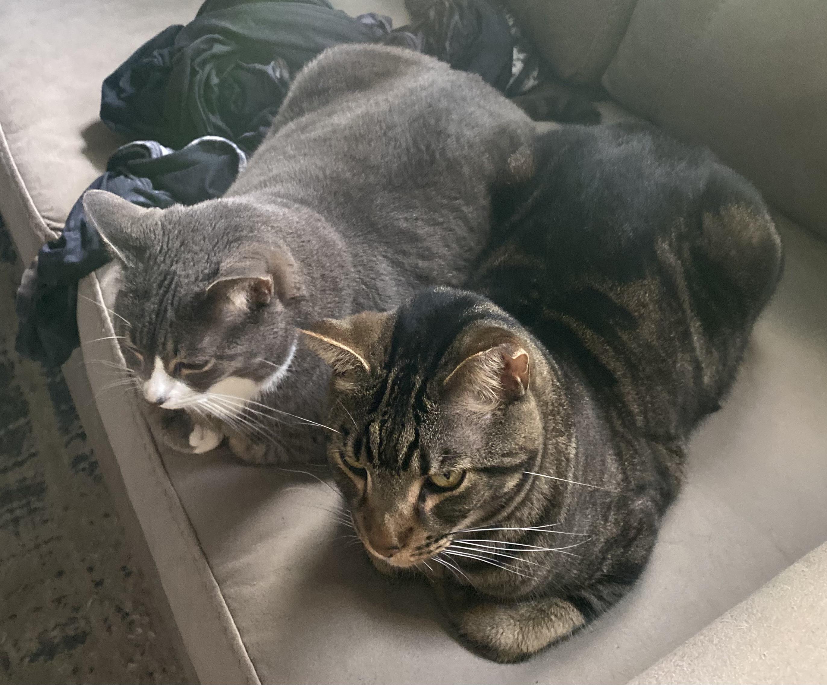 Double loaf | Scrolller