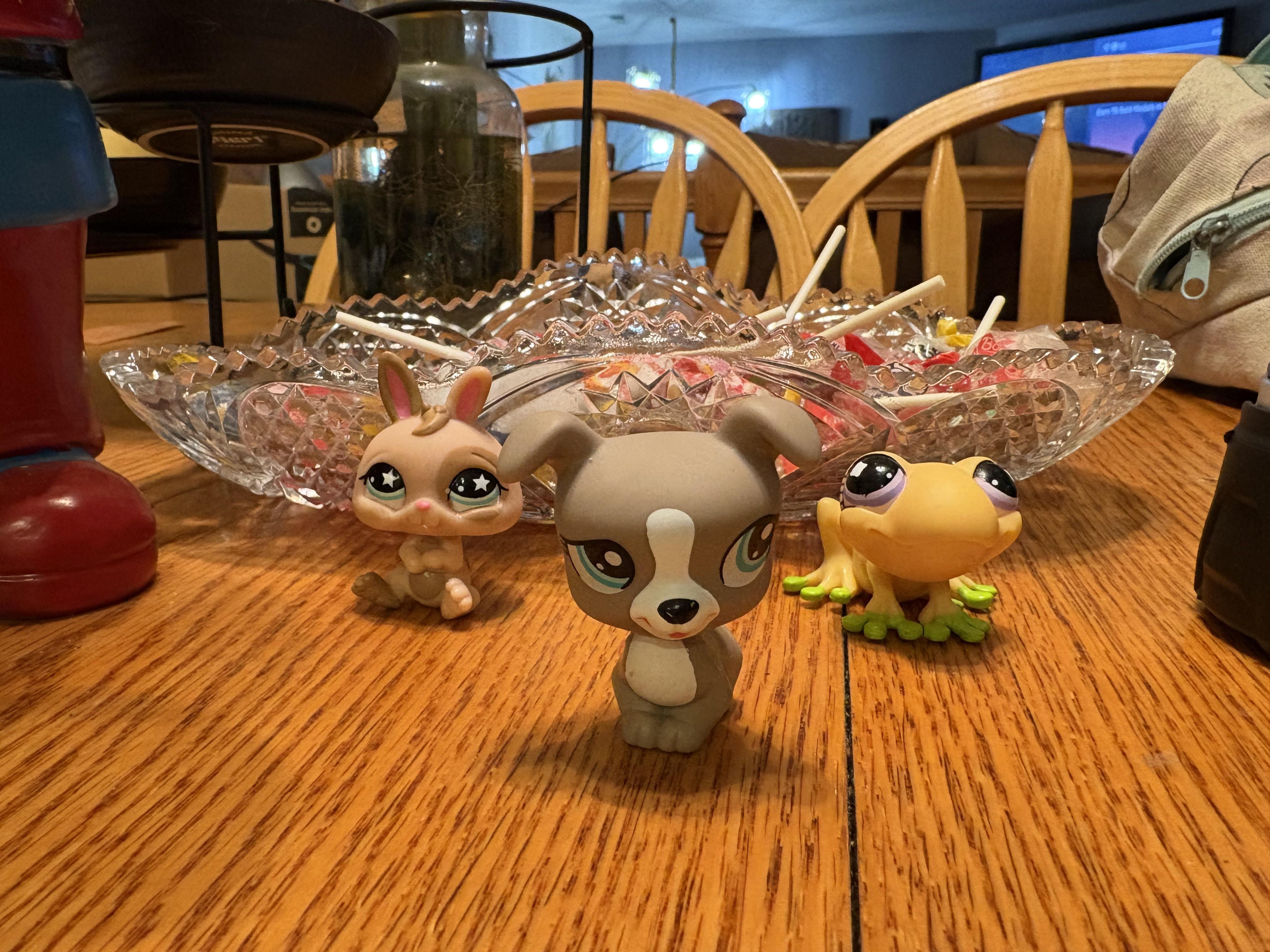Discover more like LittlestPetShop: Thrift store finds!! and Related Content | Scrolller