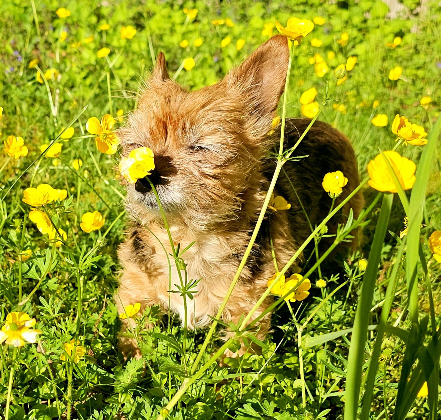 Why yes I do like butter! | Scrolller