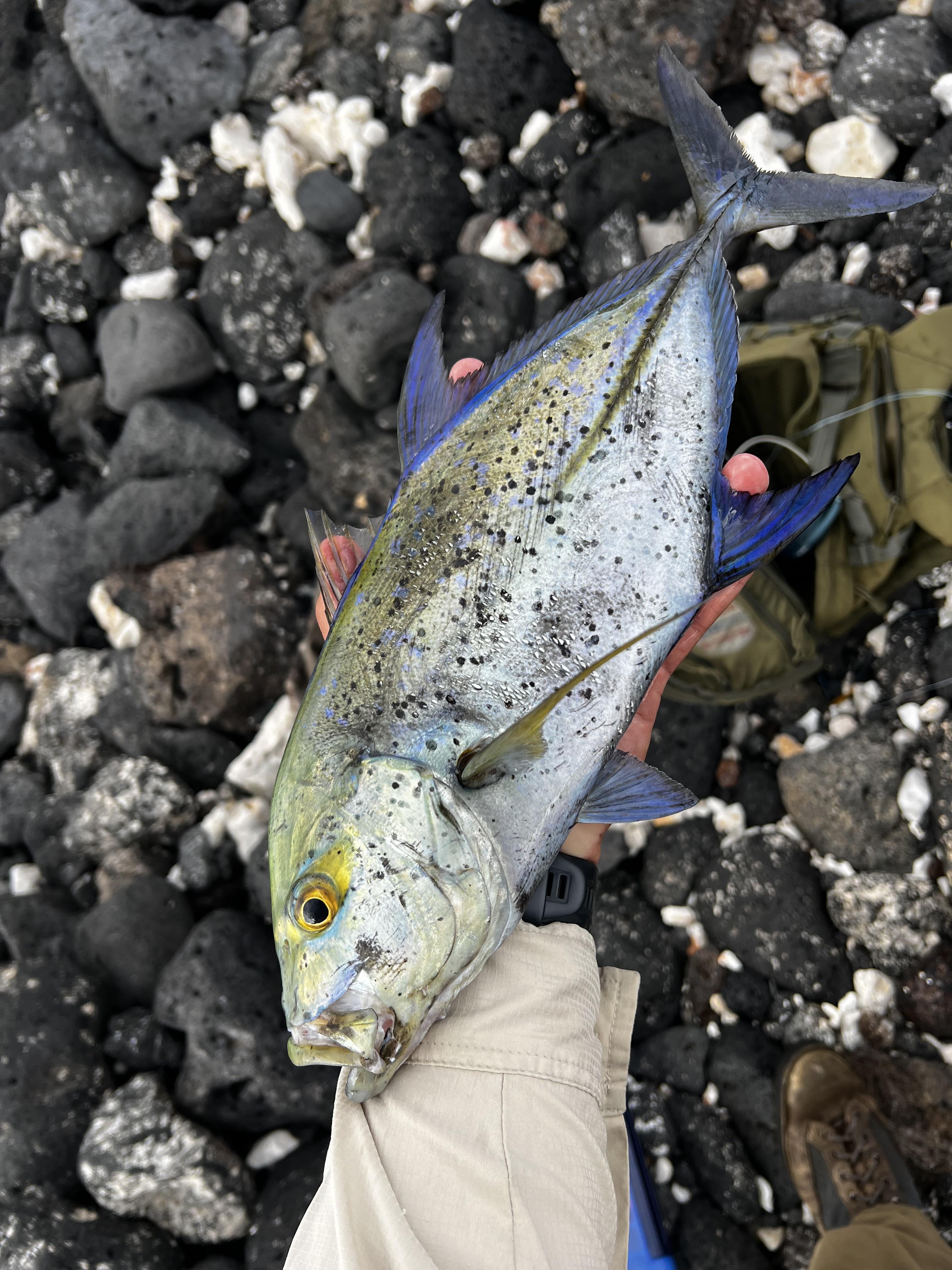 Knocked one off the bucket list today! | Scrolller