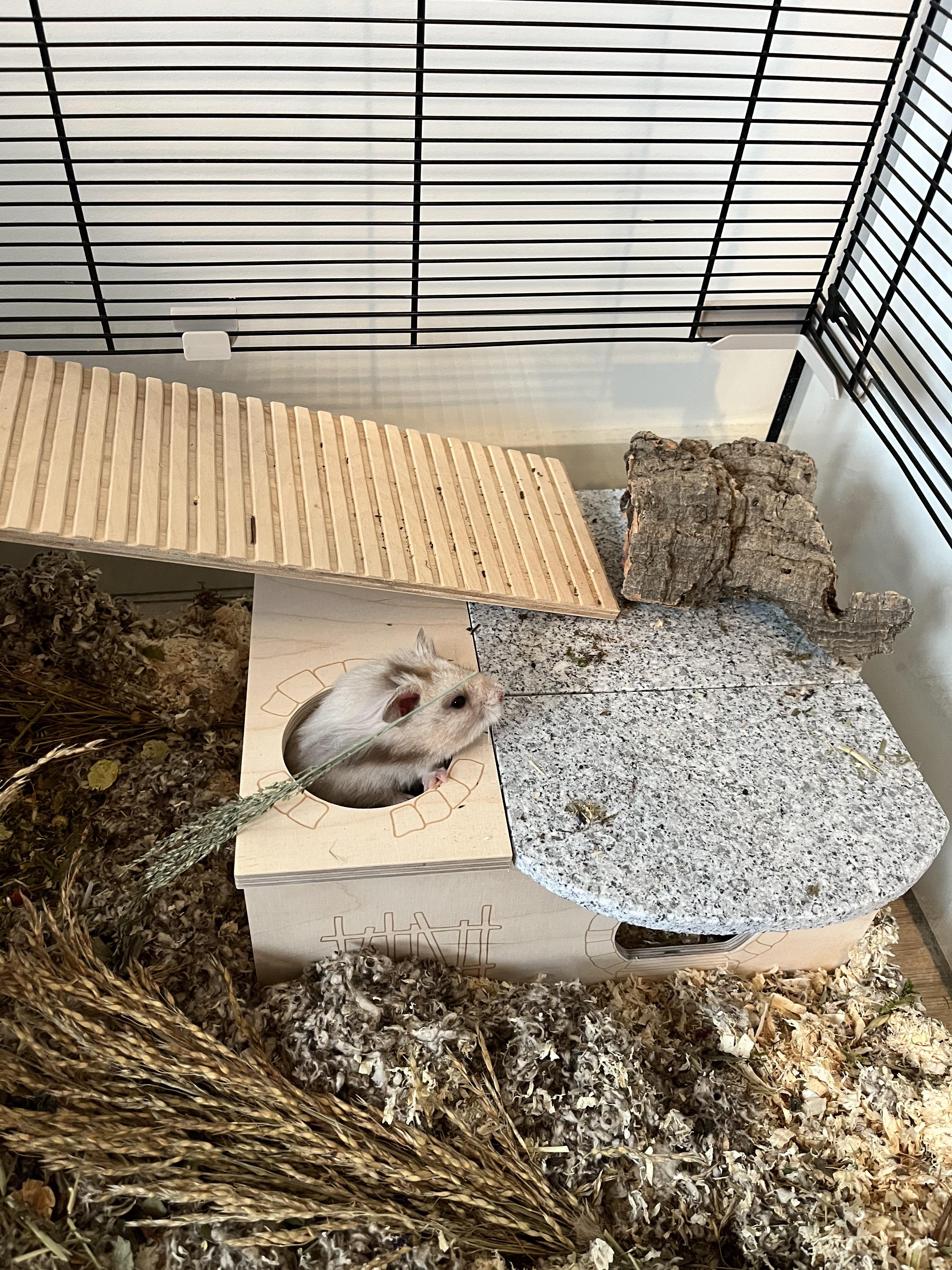 Elmo loves spending time in his hideout so i decided to give him a upgrade. I think he likes his ...