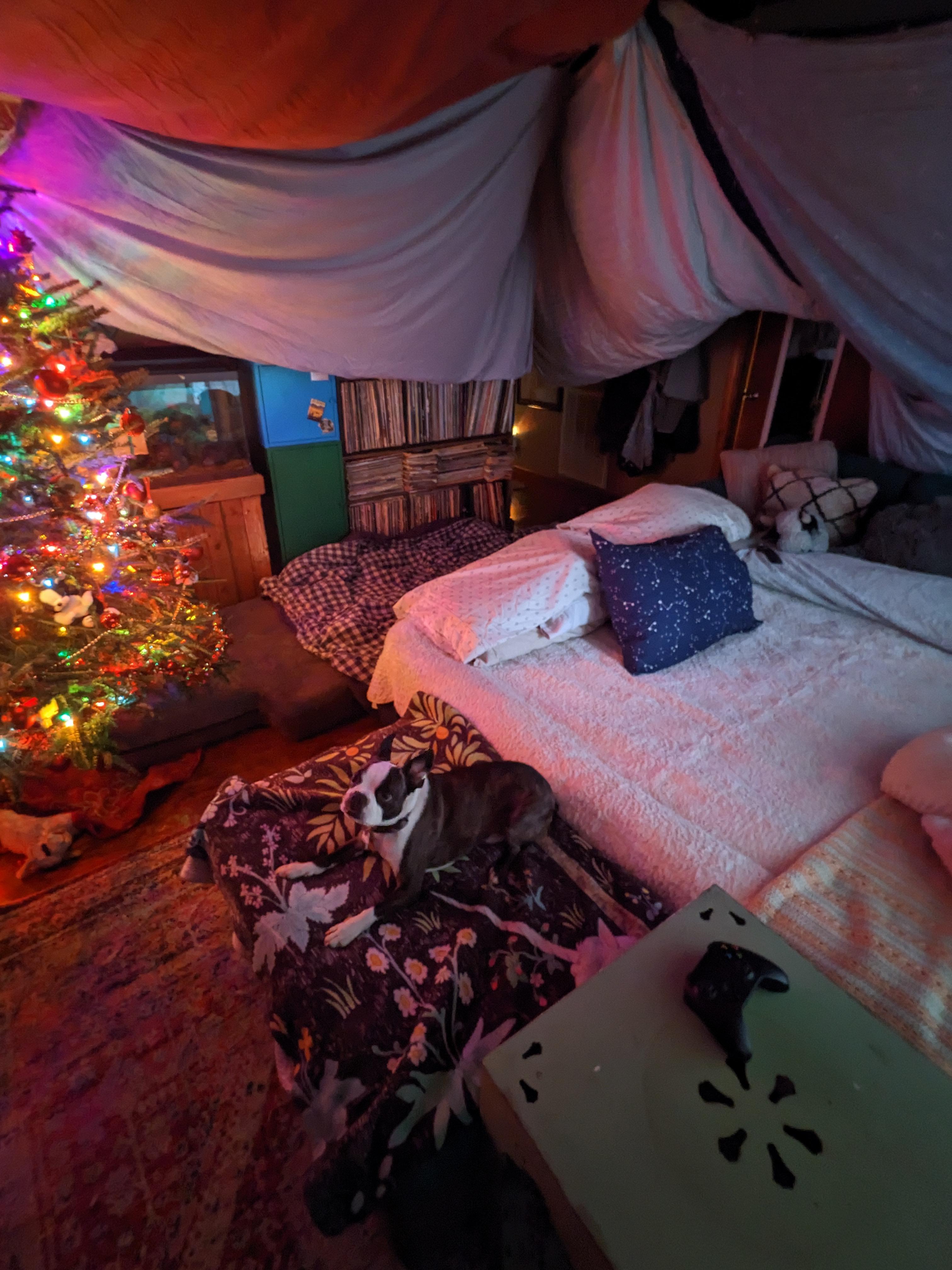 Annual holiday tradition: blanket fort | Scrolller