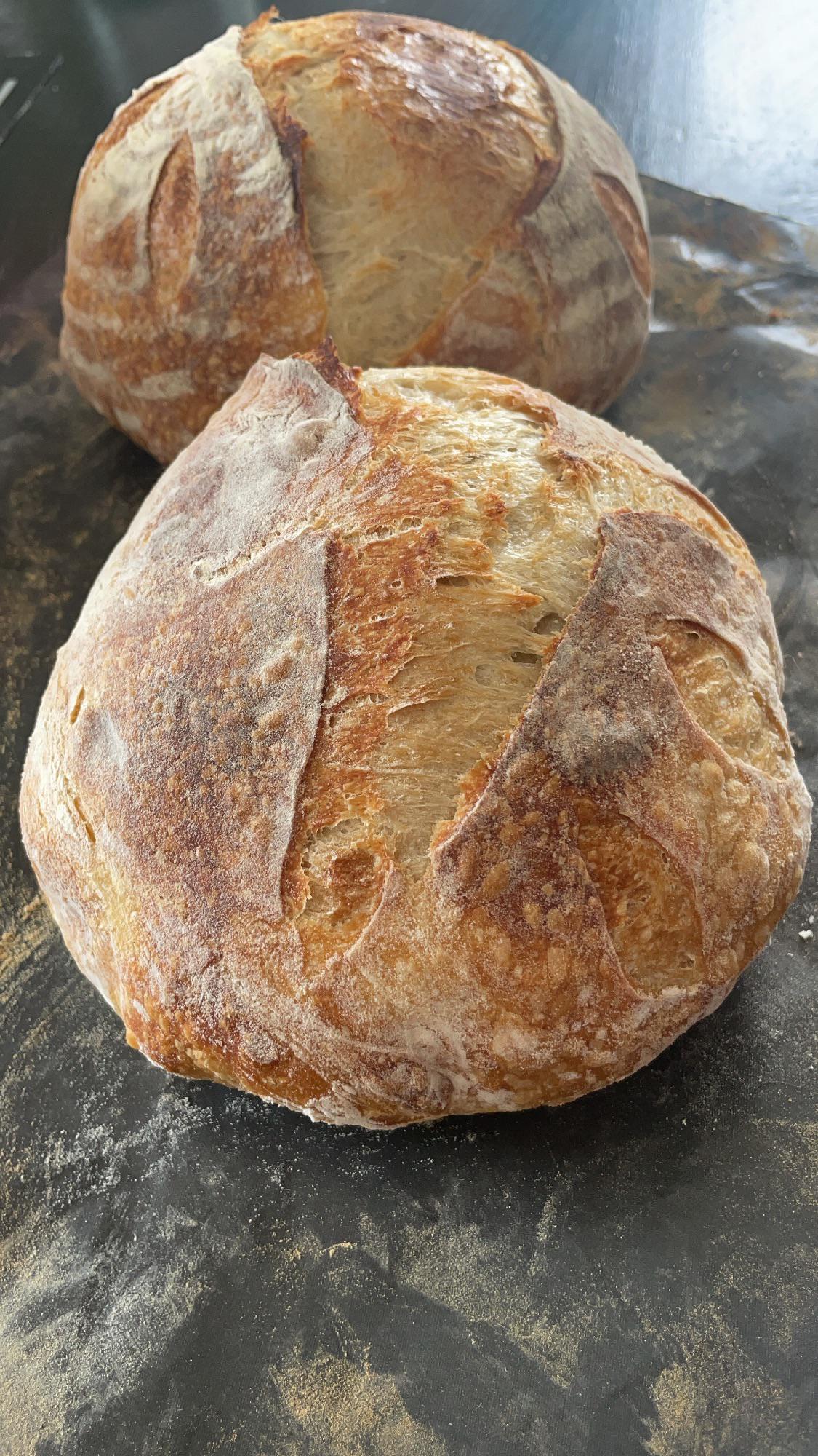 Sourdough Appreciation | Scrolller