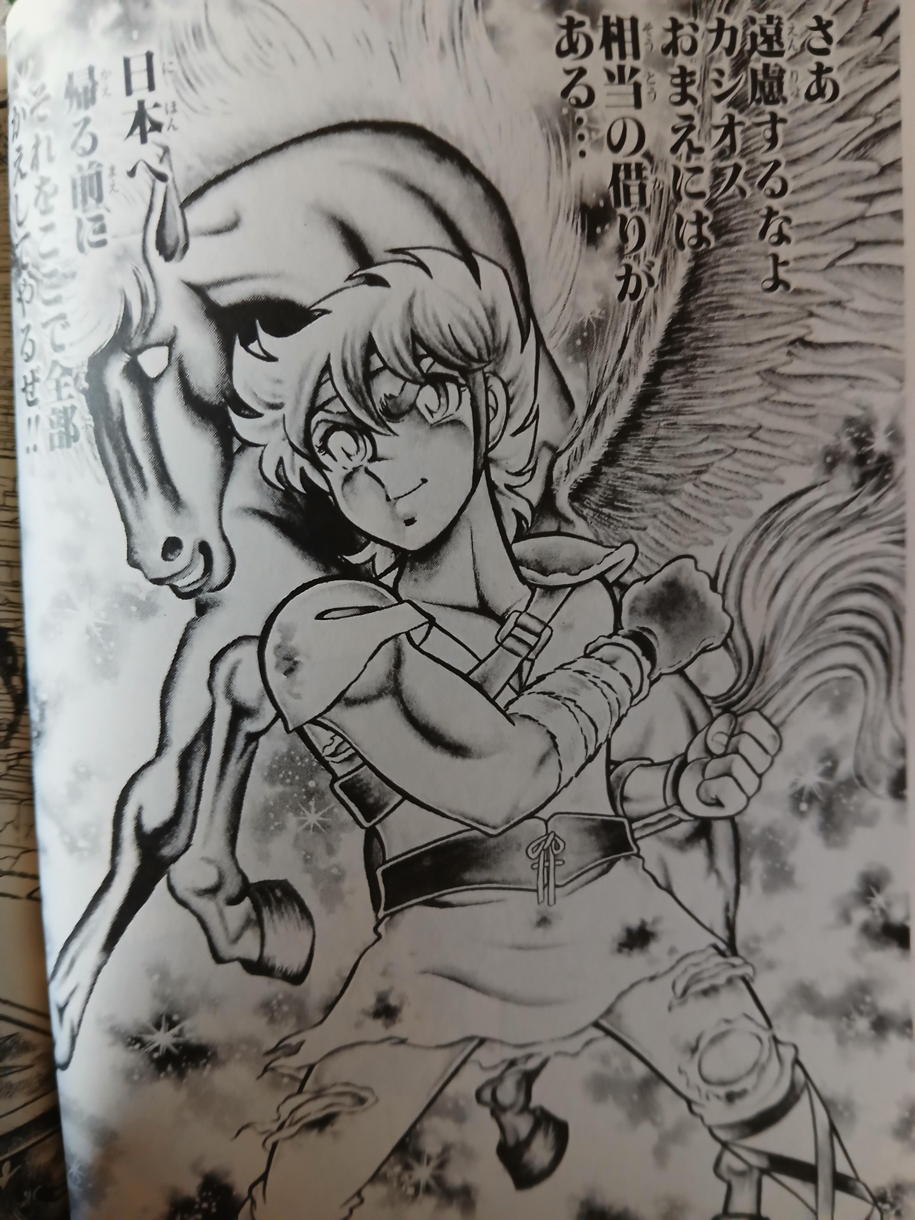 Manga Haul - Saint Seiya complete pocket edition | Scrolller