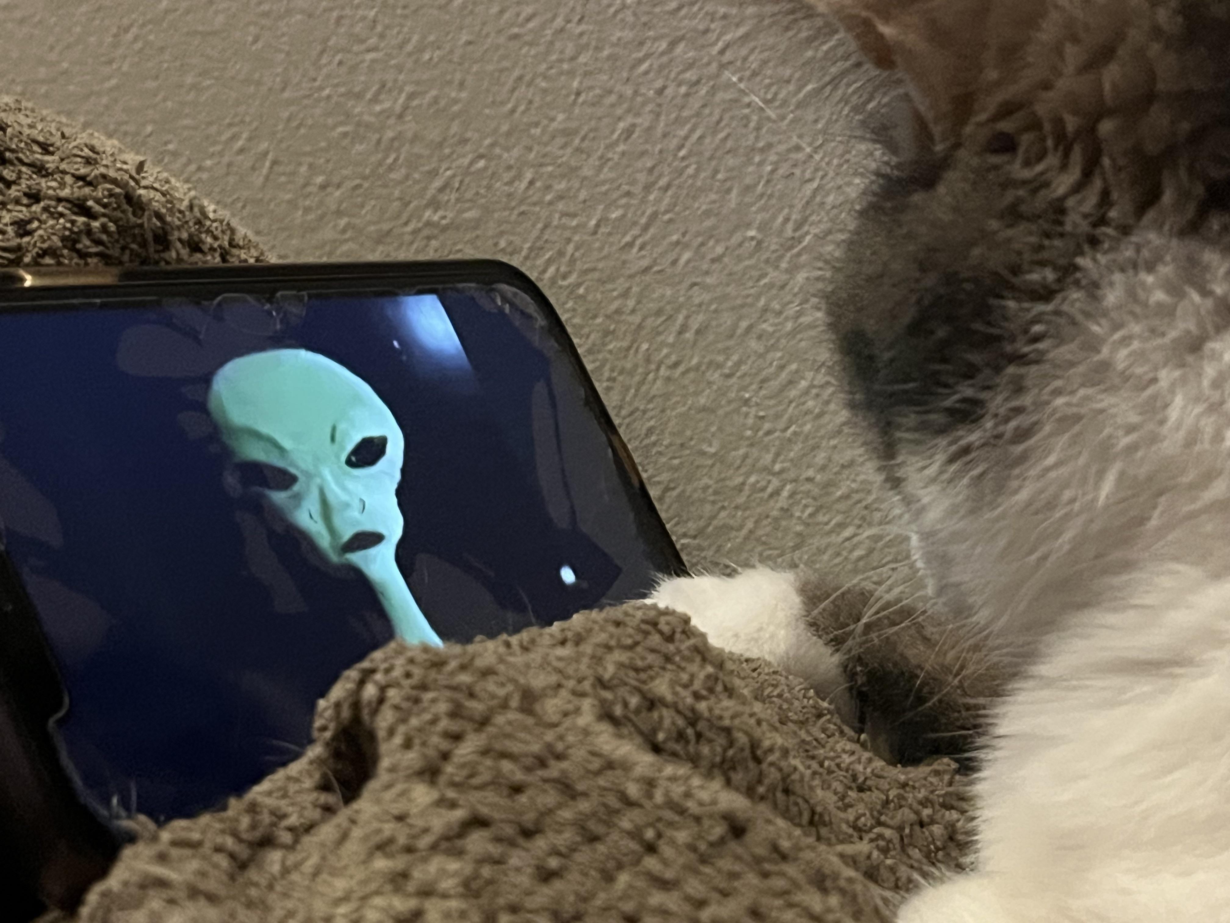 Taking orders from the mothership | Scrolller