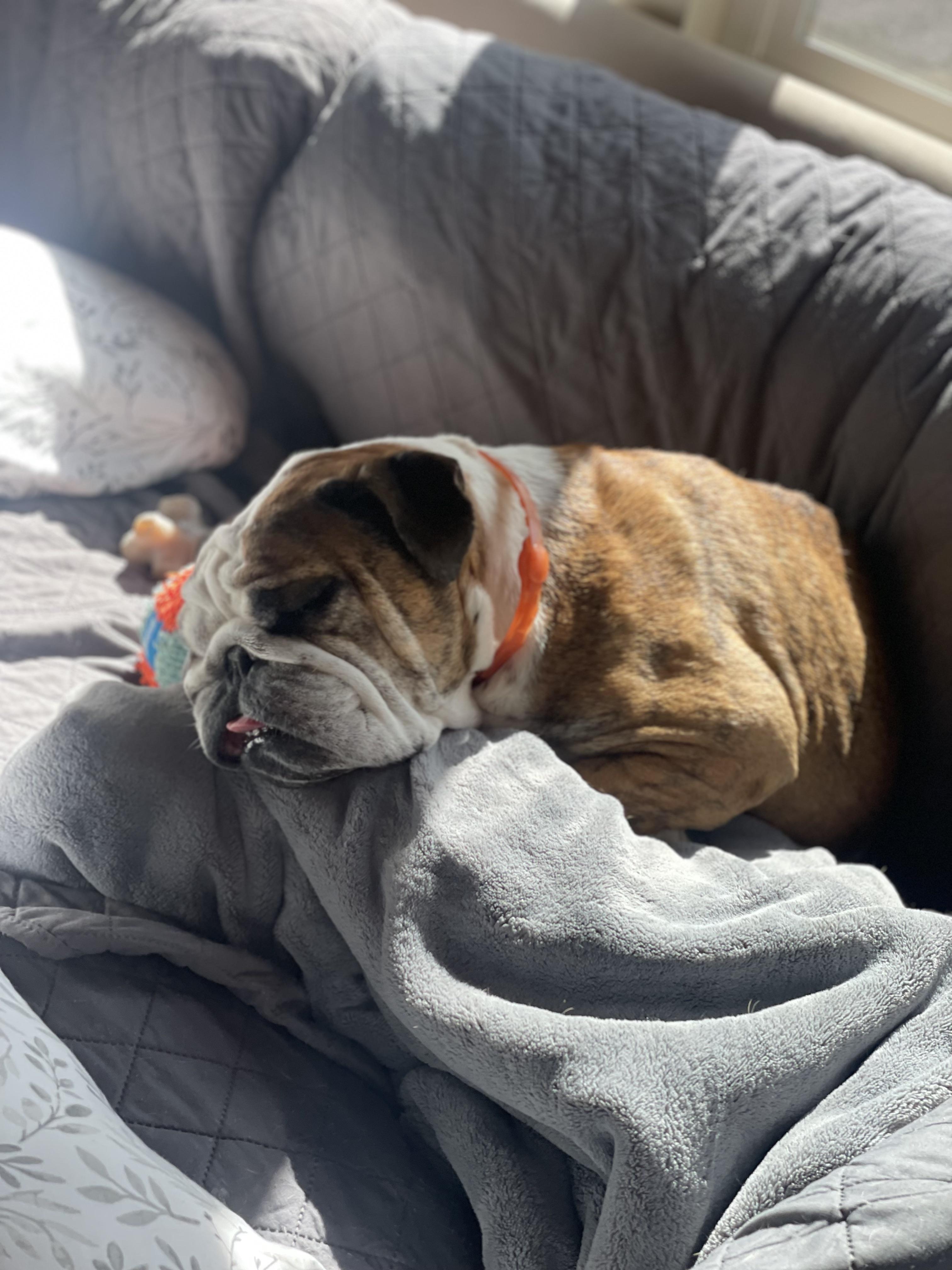 I WFH and this is my view everyday | Scrolller