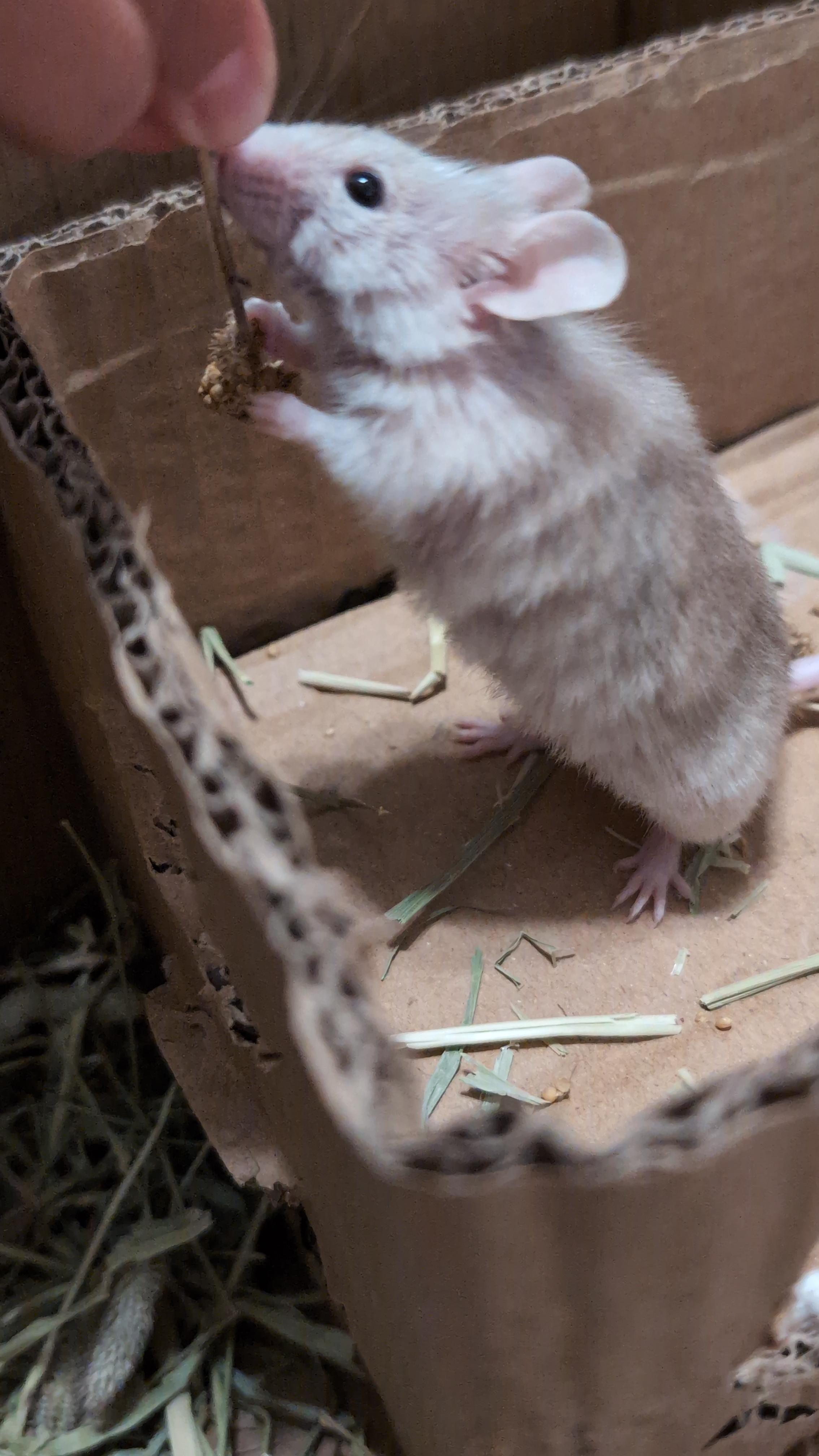 Long overdue soap post :-) | Scrolller