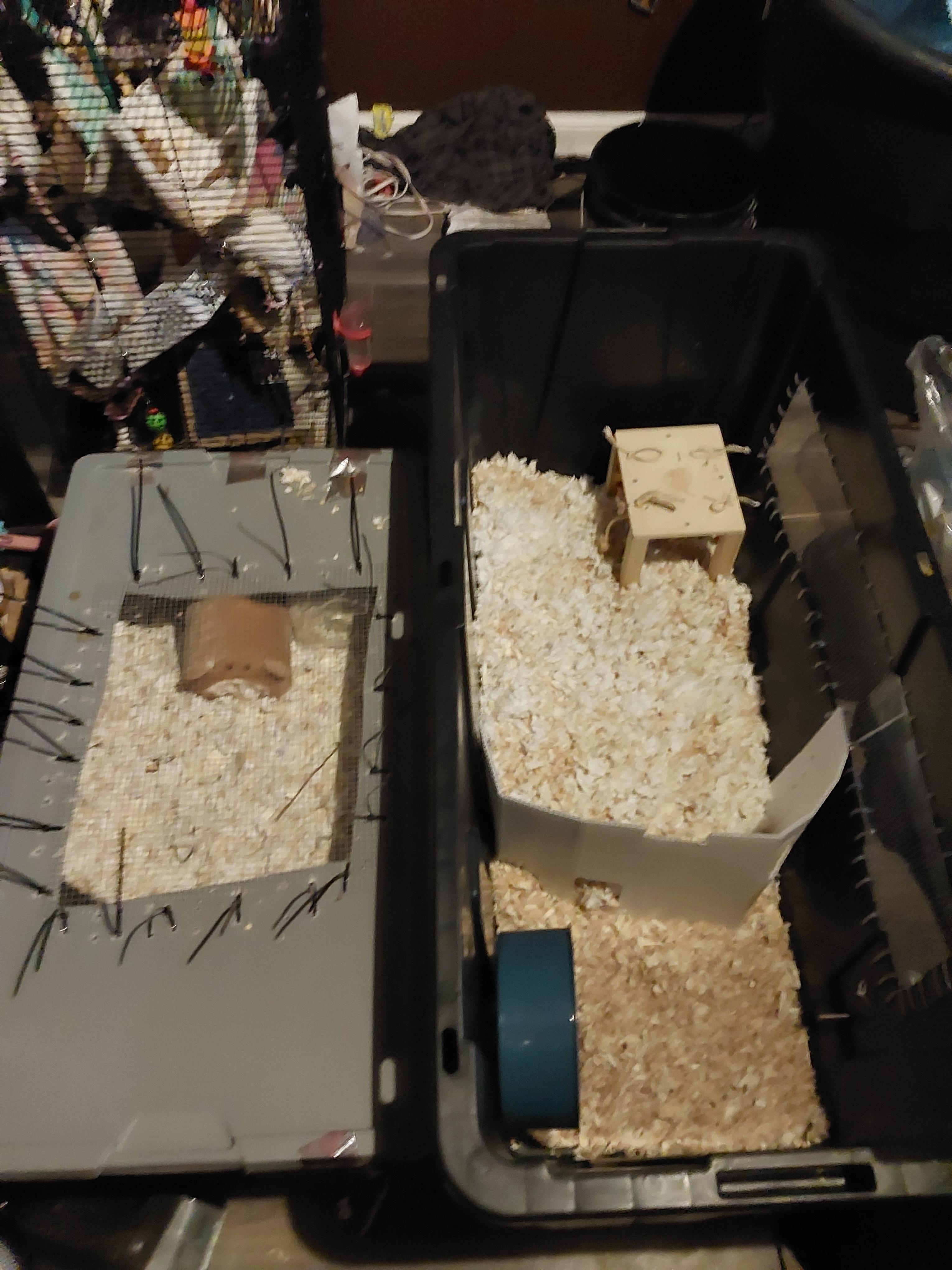 Upgraded cage! | Scrolller