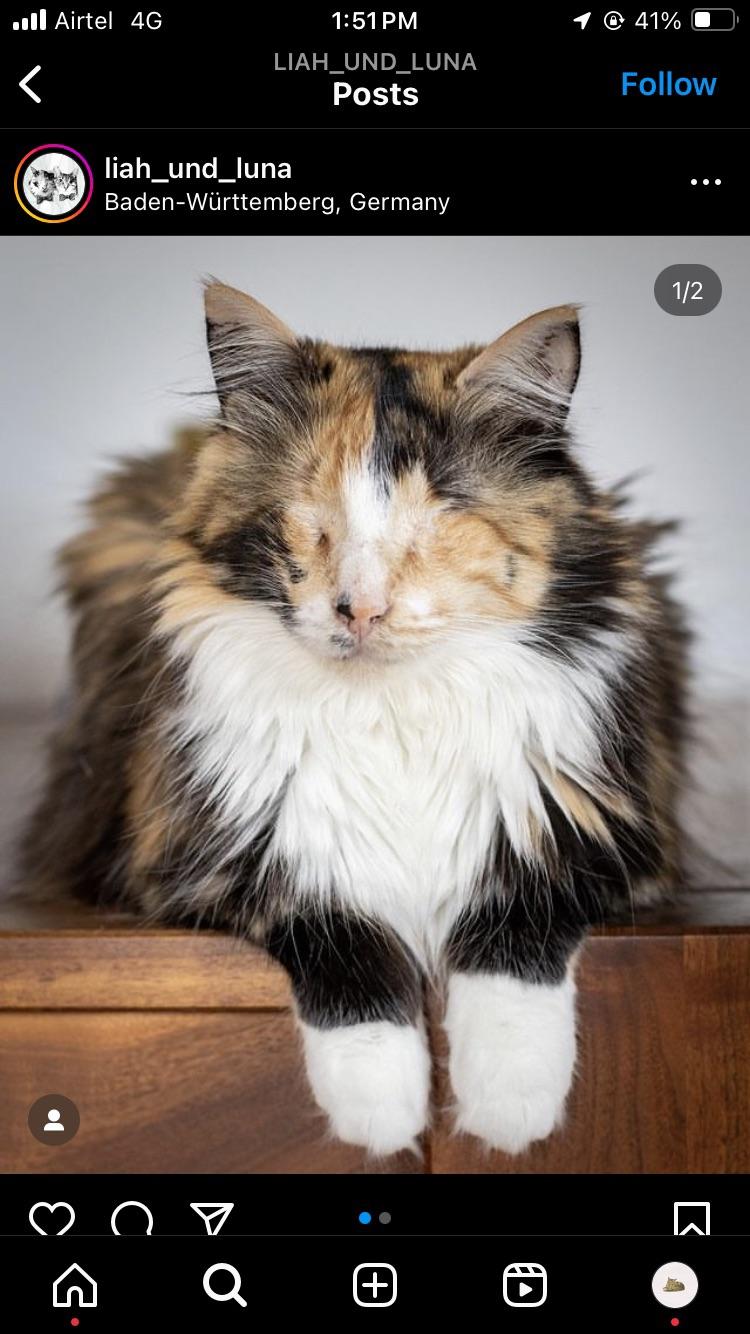 Liah and Luna! | Scrolller