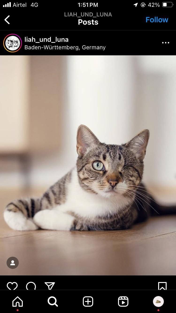 Liah and Luna! | Scrolller