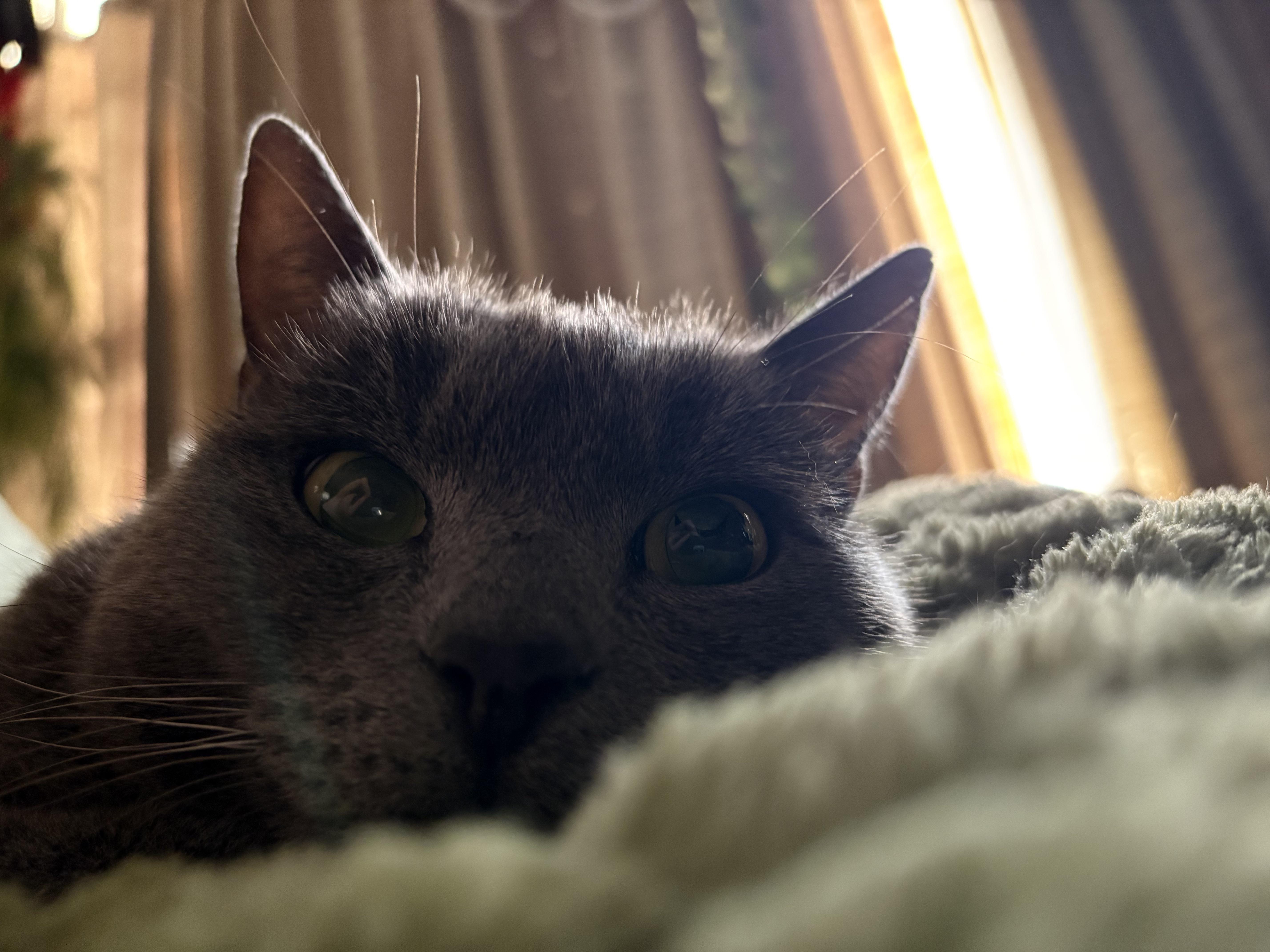 Weird line in one eye | Scrolller