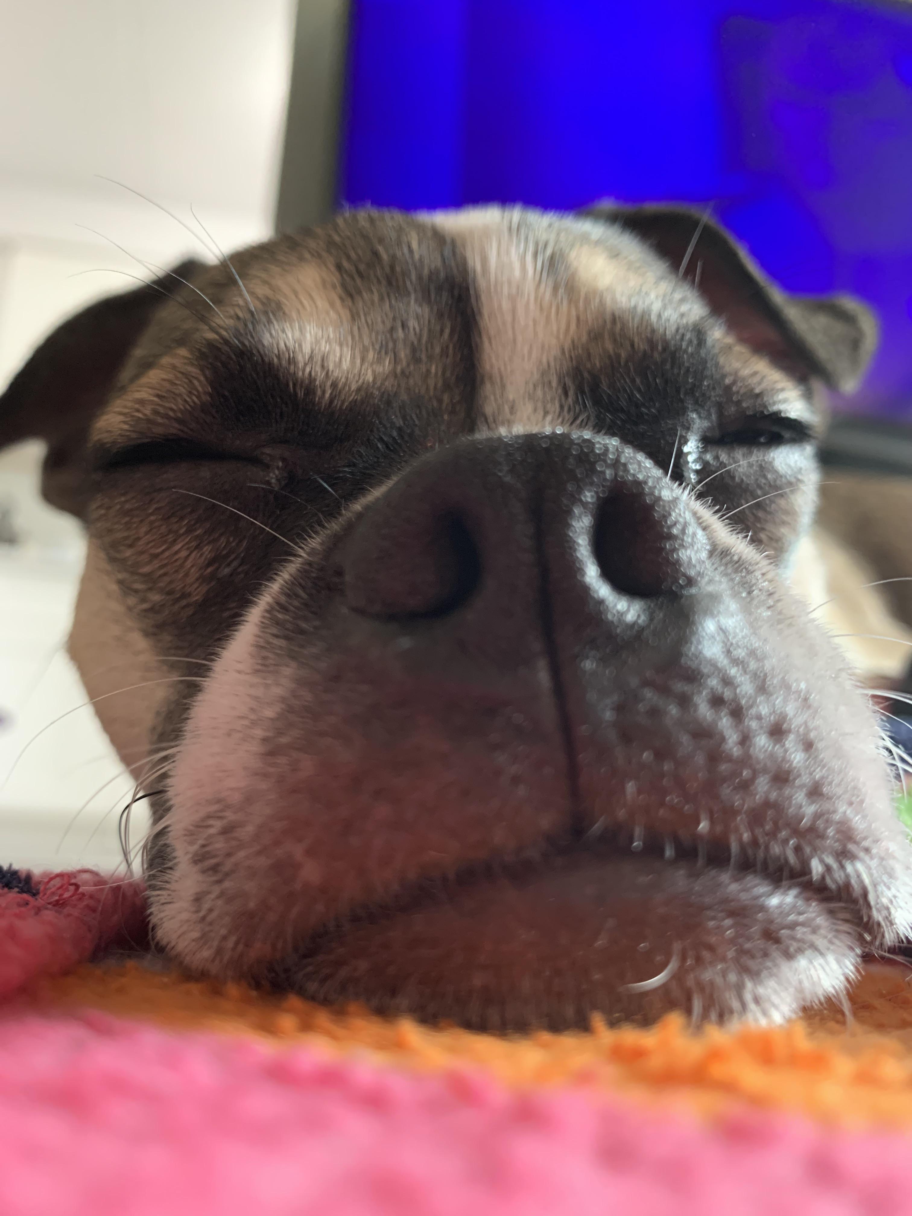 She looks like she eated a bees | Scrolller