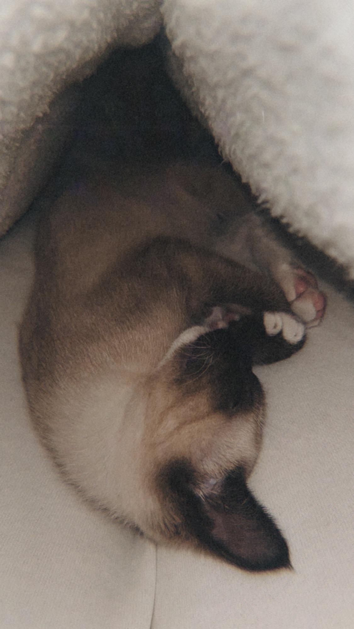 Doesn’t even look like she’s a little demon | Scrolller