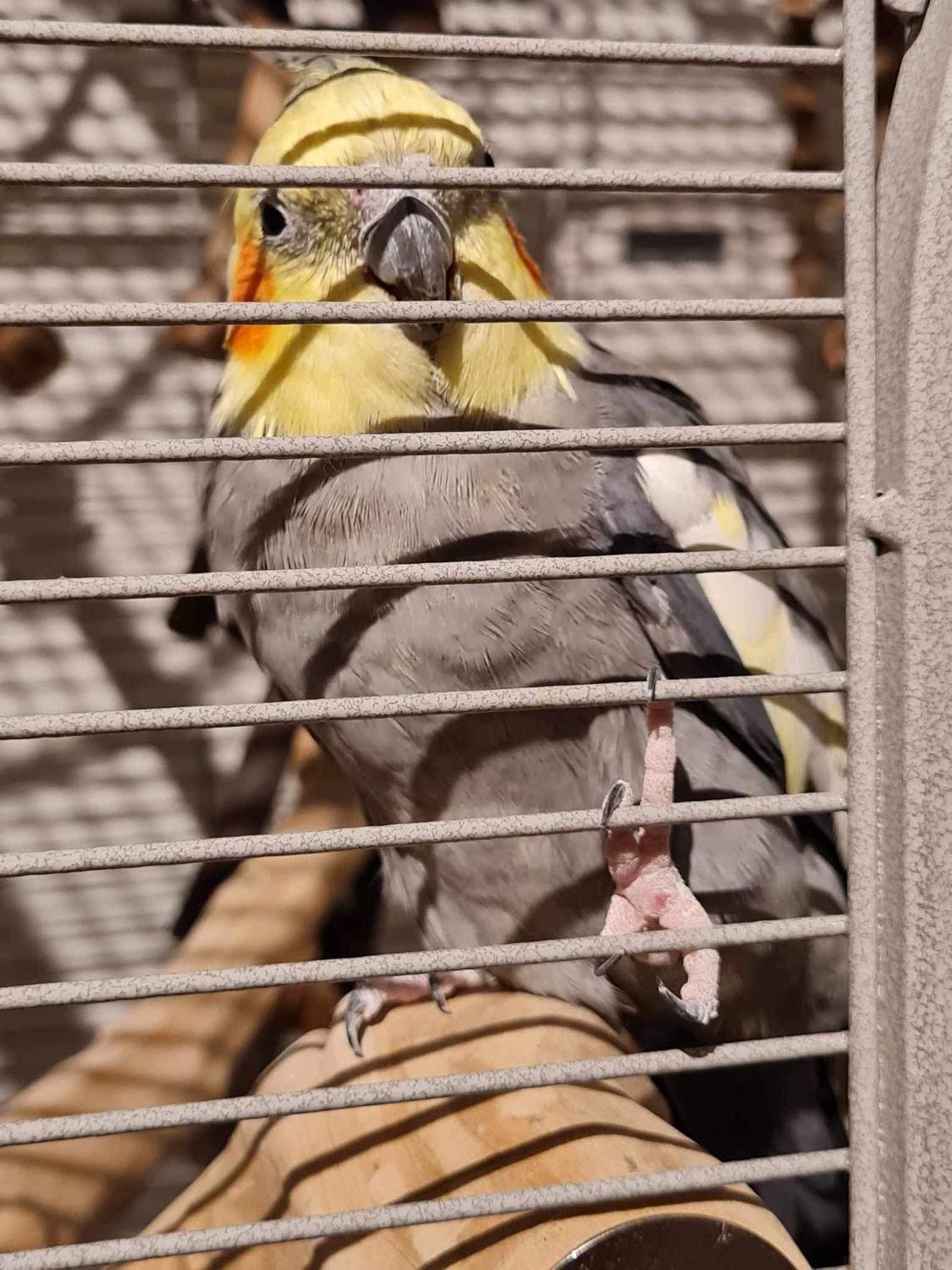 Is this normal? | Scrolller