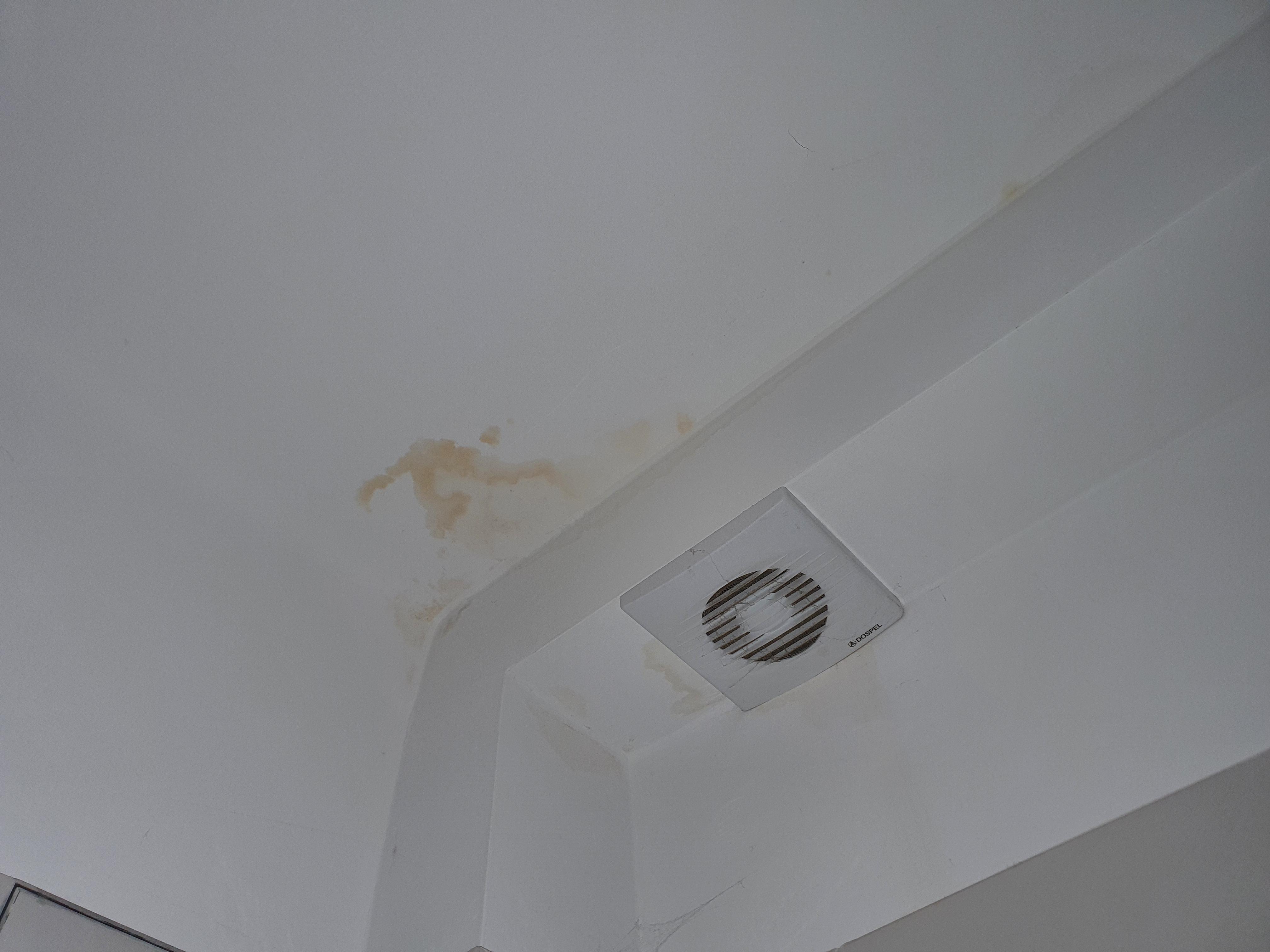 [3 images] What's the cause of the stain in the ceiling and how could it be fixed? | Scrolller