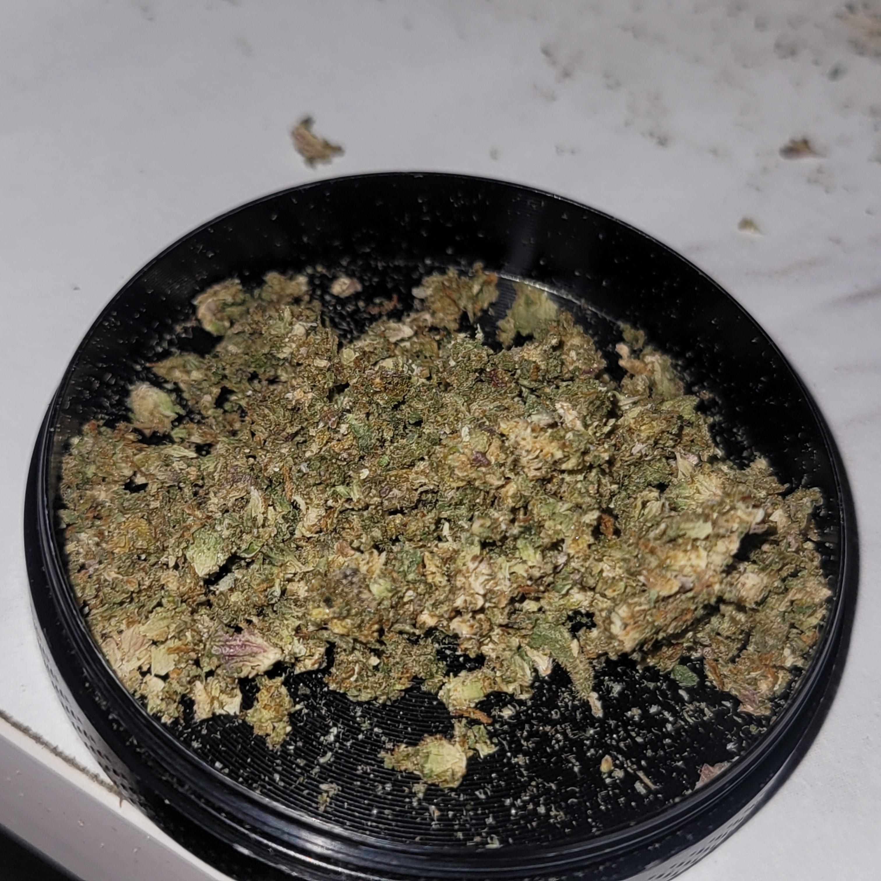 Miami Vice | Scrolller