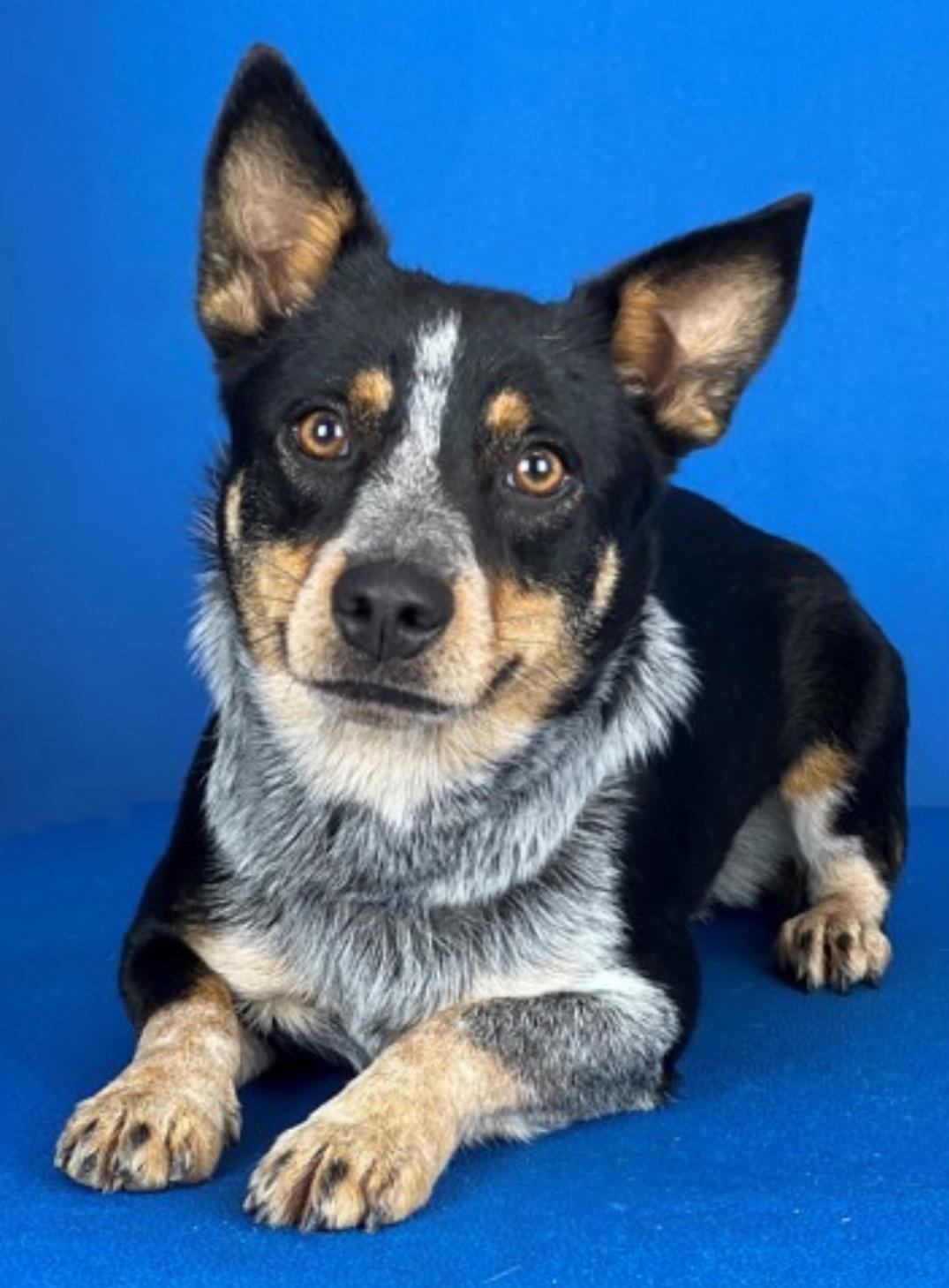 Help Naming Her, Please | Scrolller