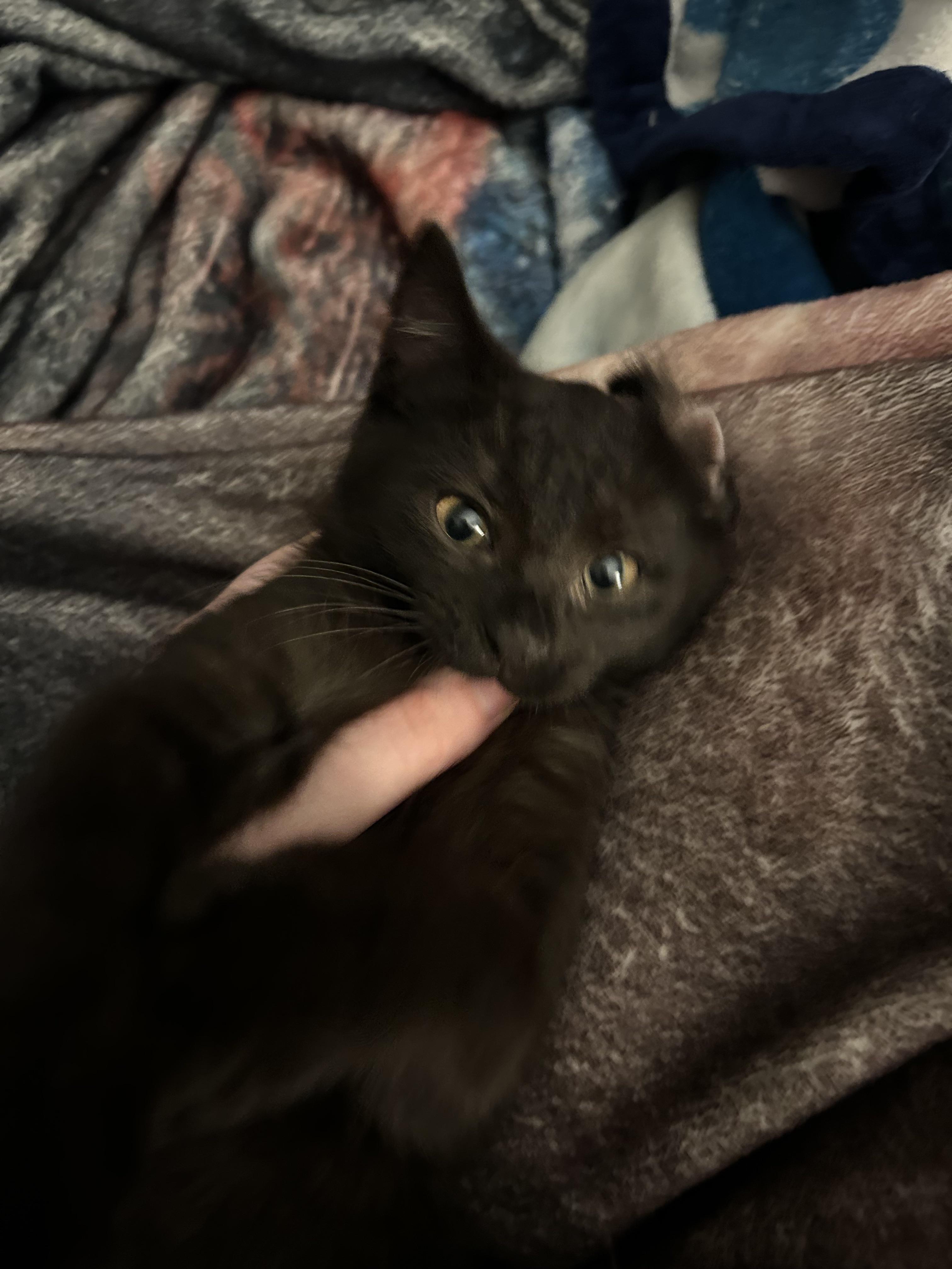 The void loves to stare | Scrolller