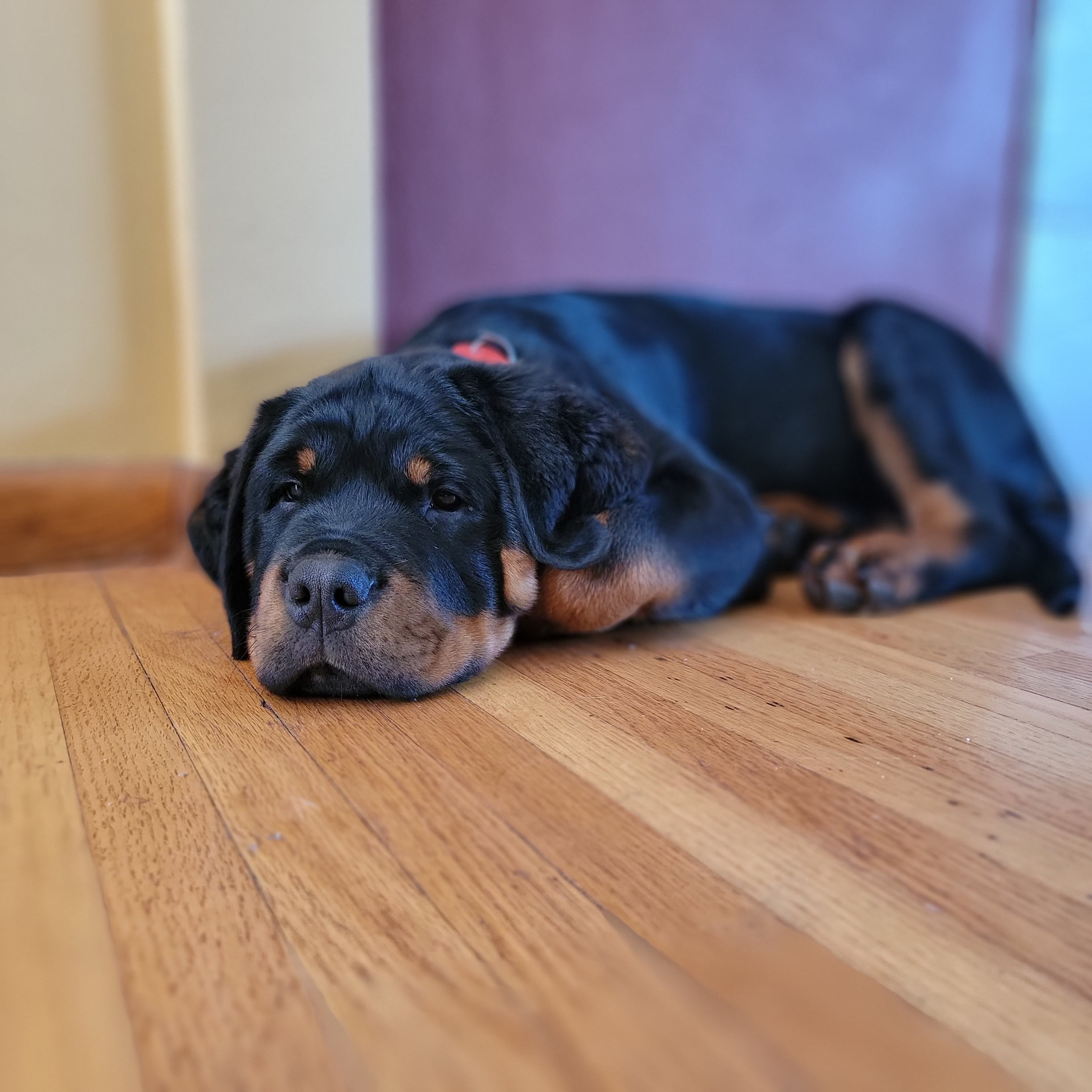 Potty training help | Scrolller