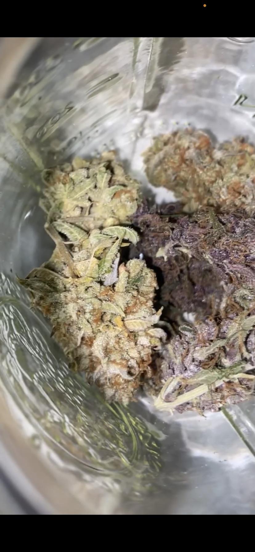 Thoughts on my bud? | Scrolller