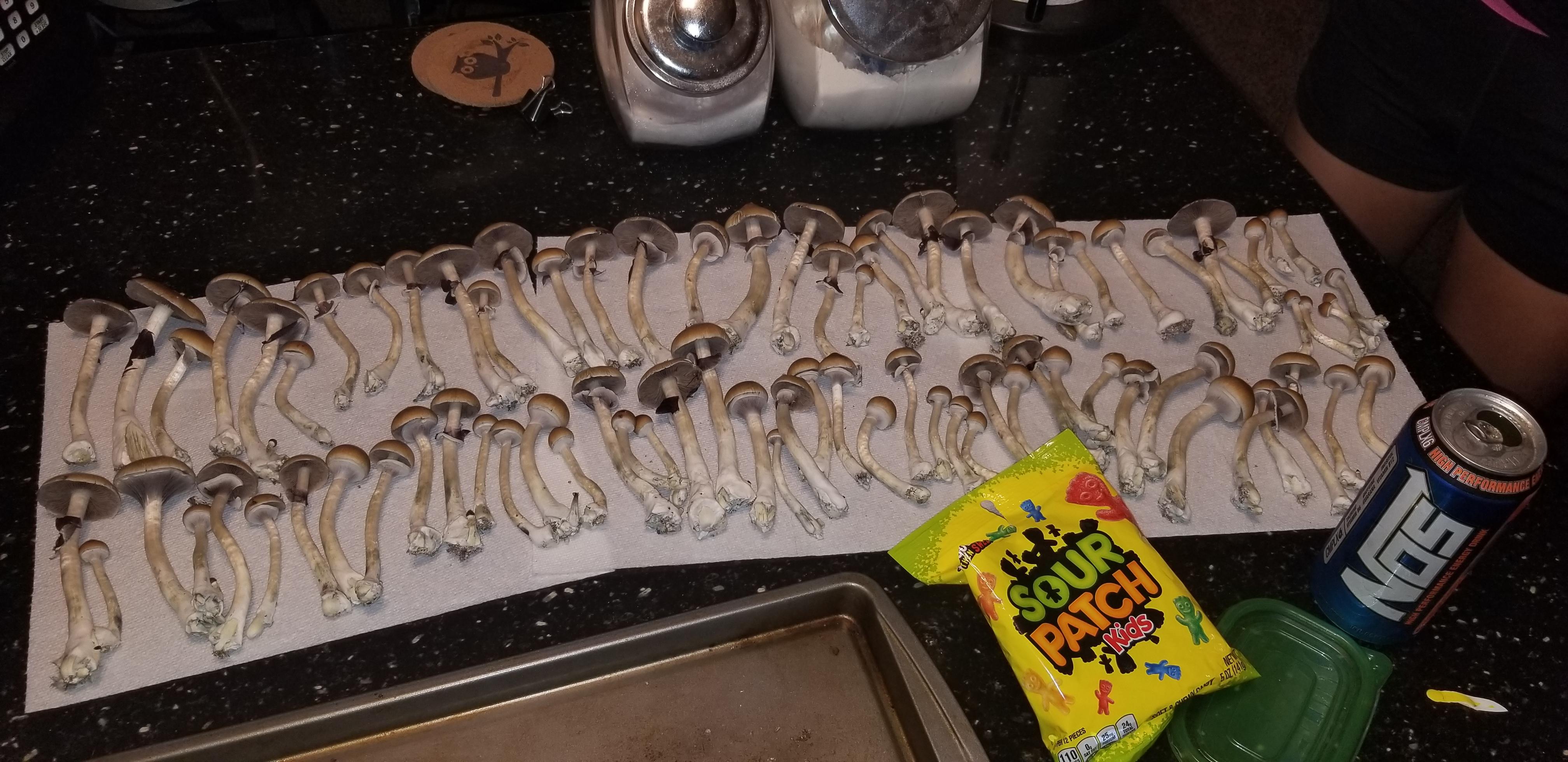 [Technique] First flush GT's | Scrolller