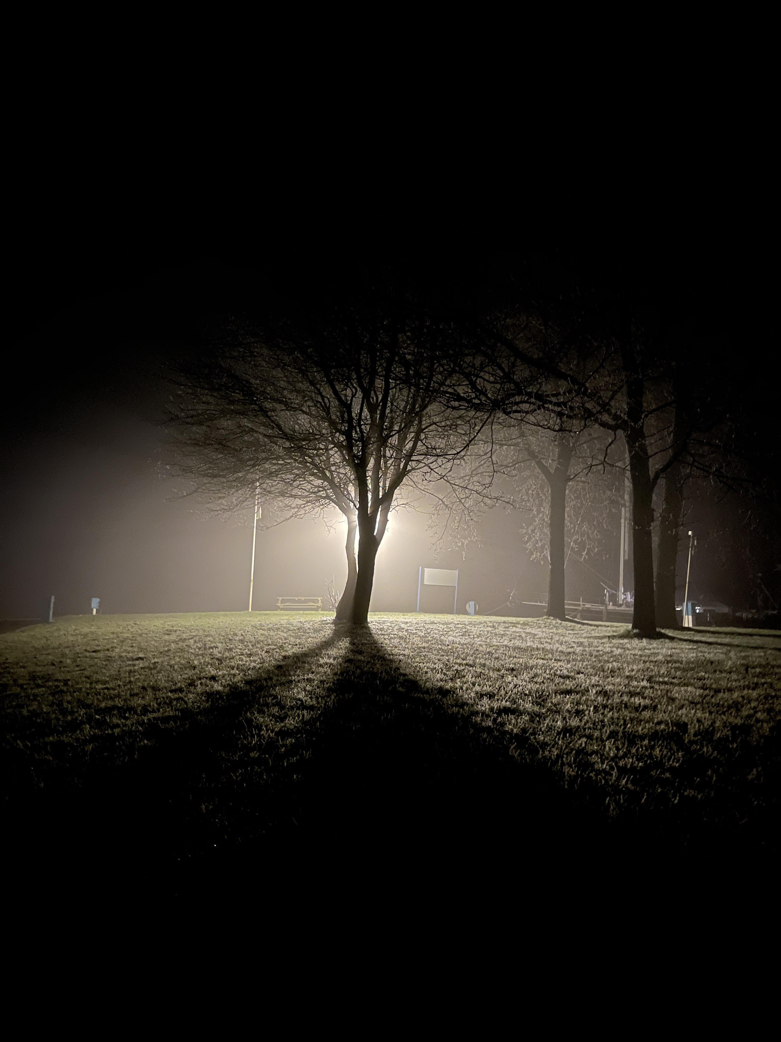 Foggy night at my local marina | Scrolller