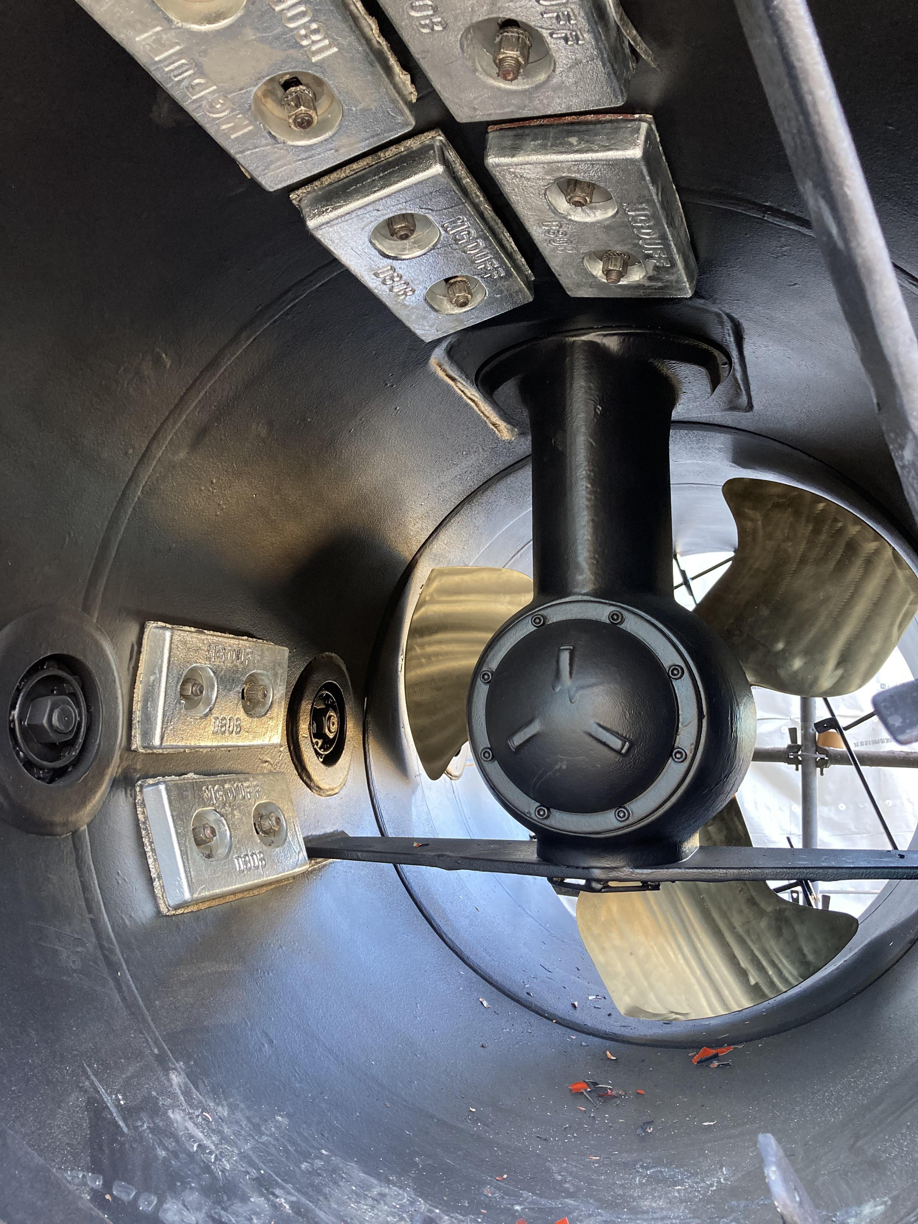 Back in the water real soon! She looks all fresh. | Scrolller