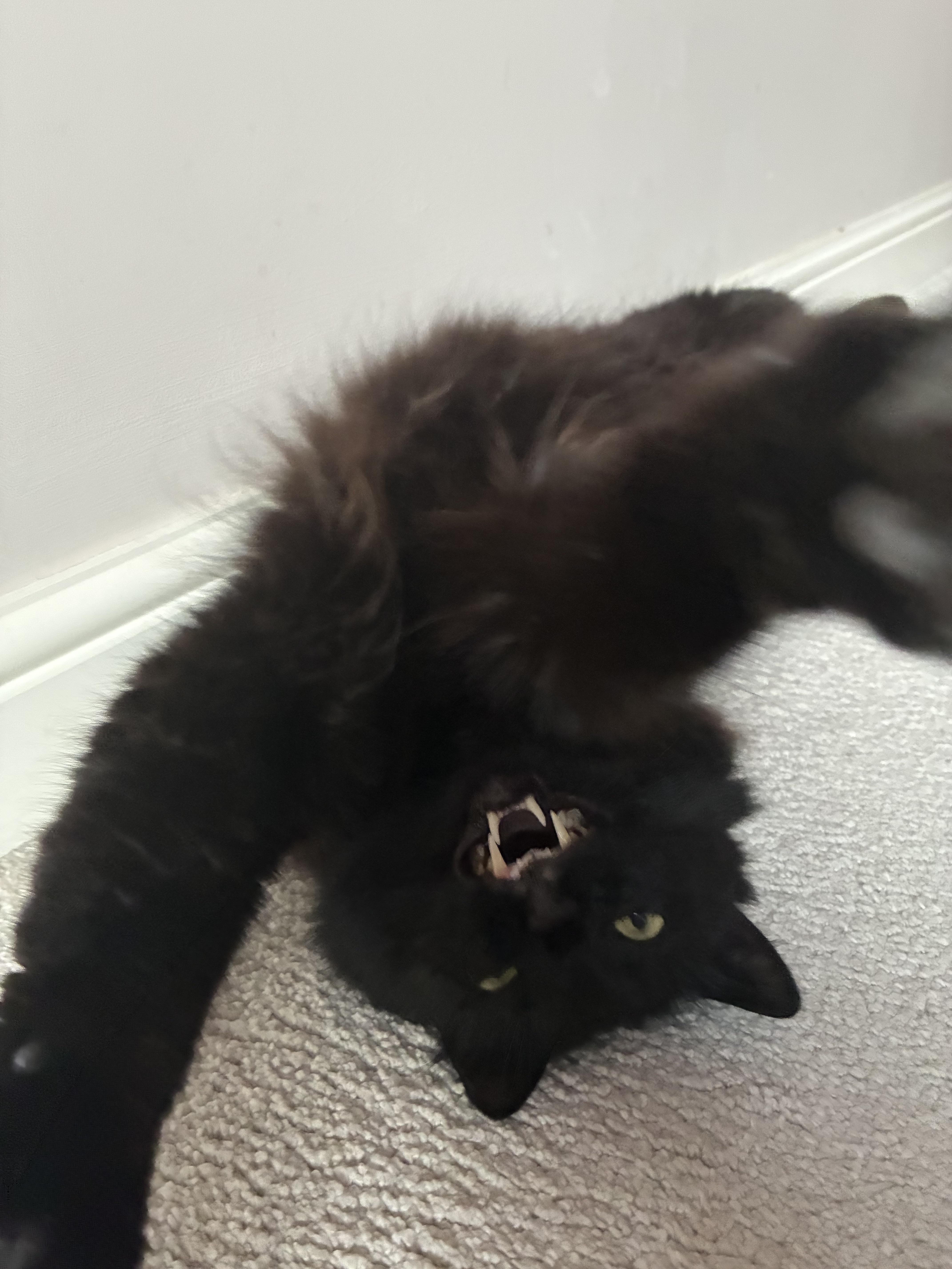 Free hugs | Scrolller