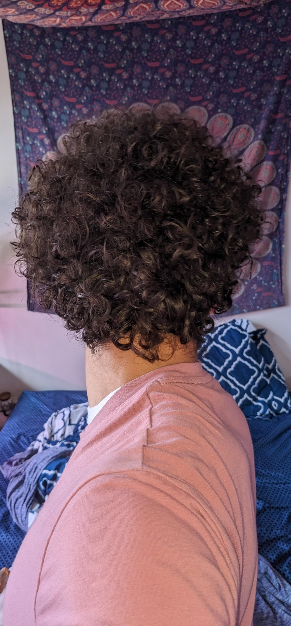 Update after drying | Scrolller