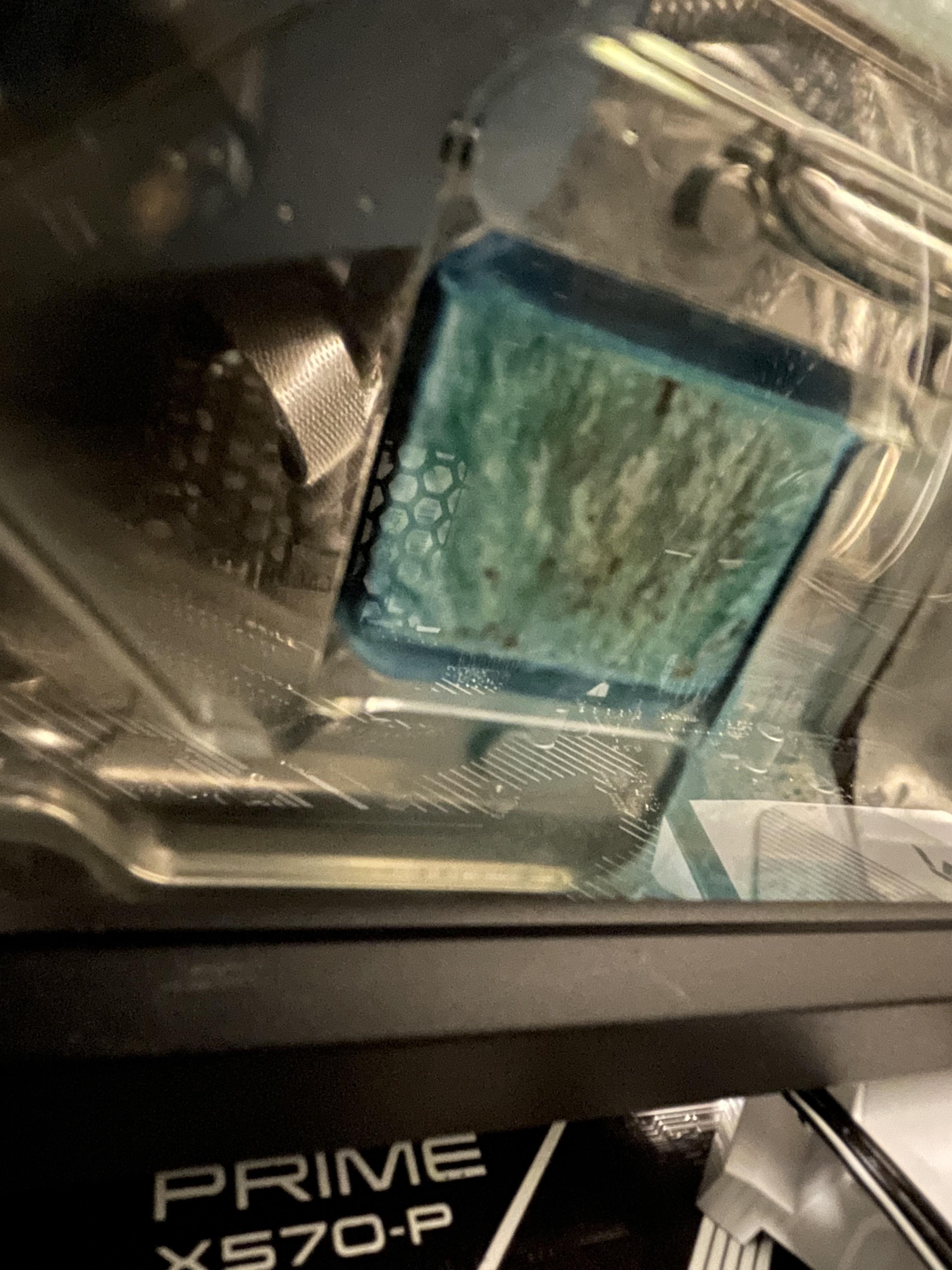 First Time Flush | Scrolller