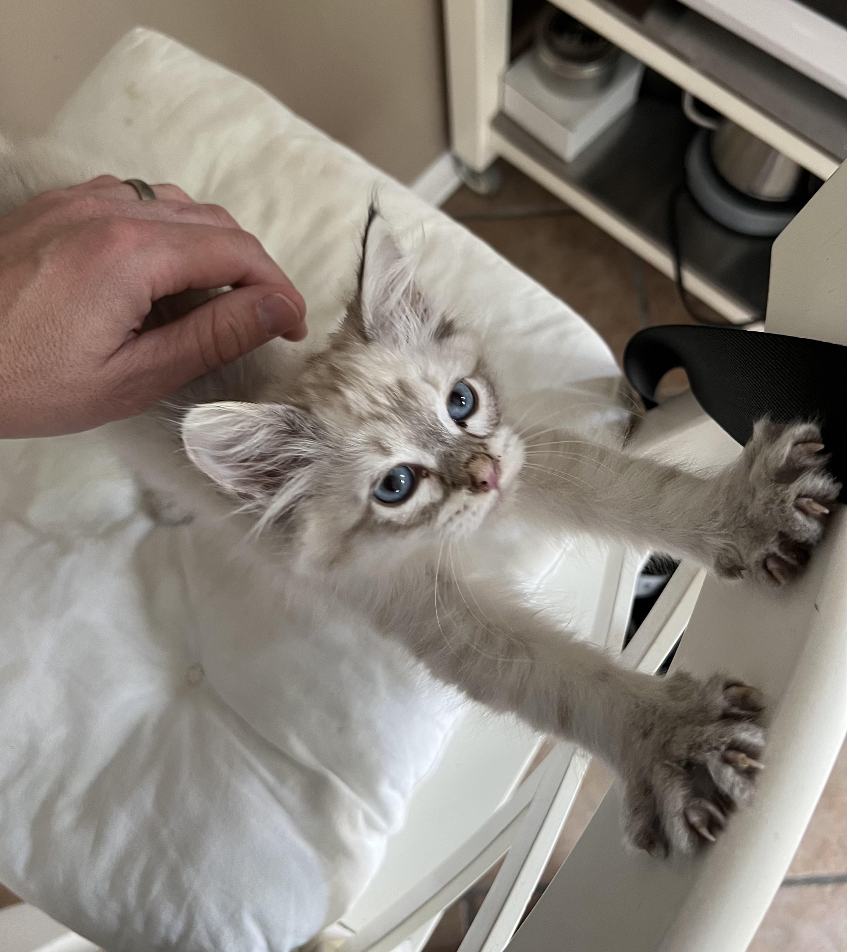 Worth the Wait | Scrolller