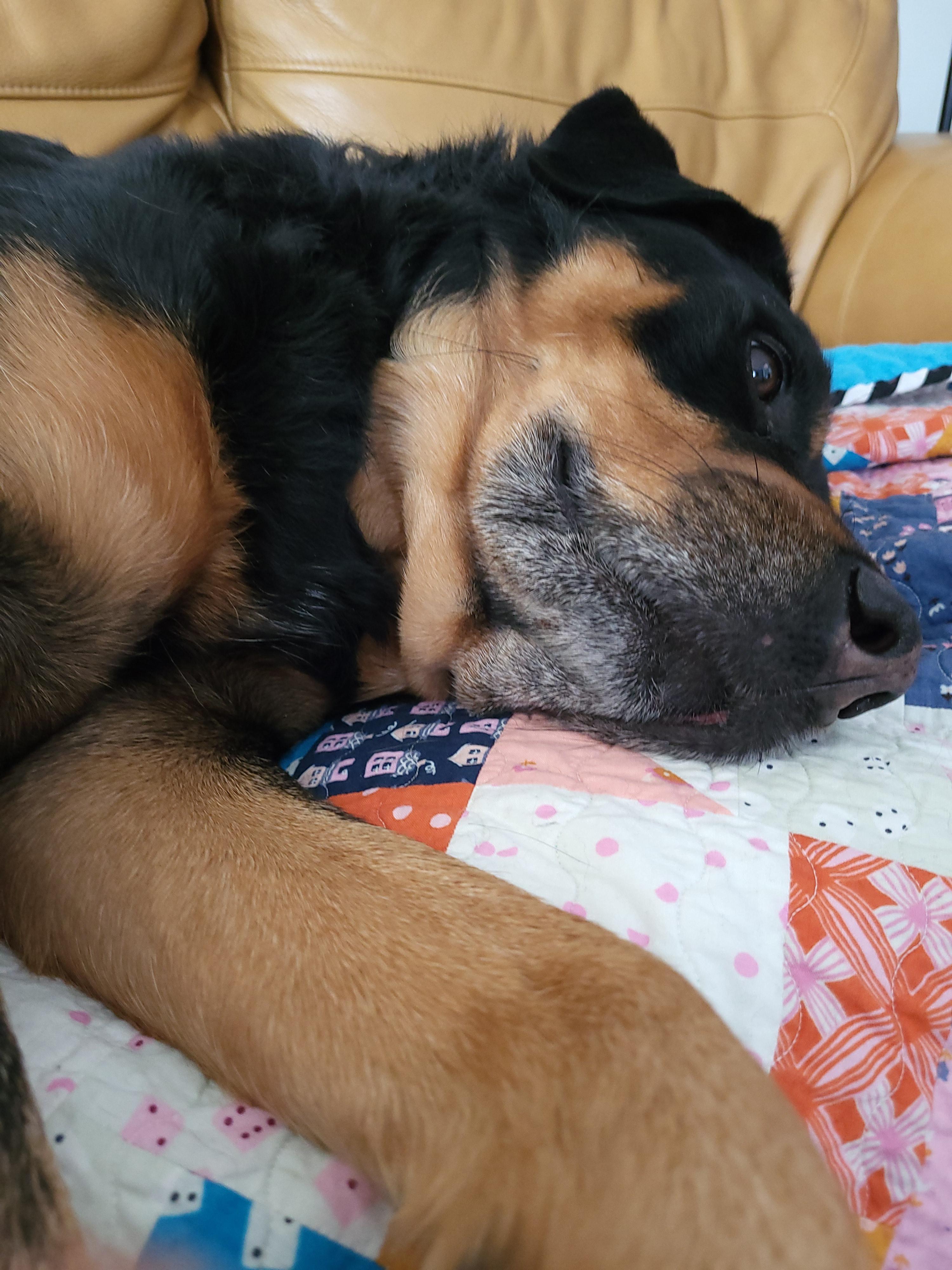 Ruby is officially in her golden girl era | Scrolller