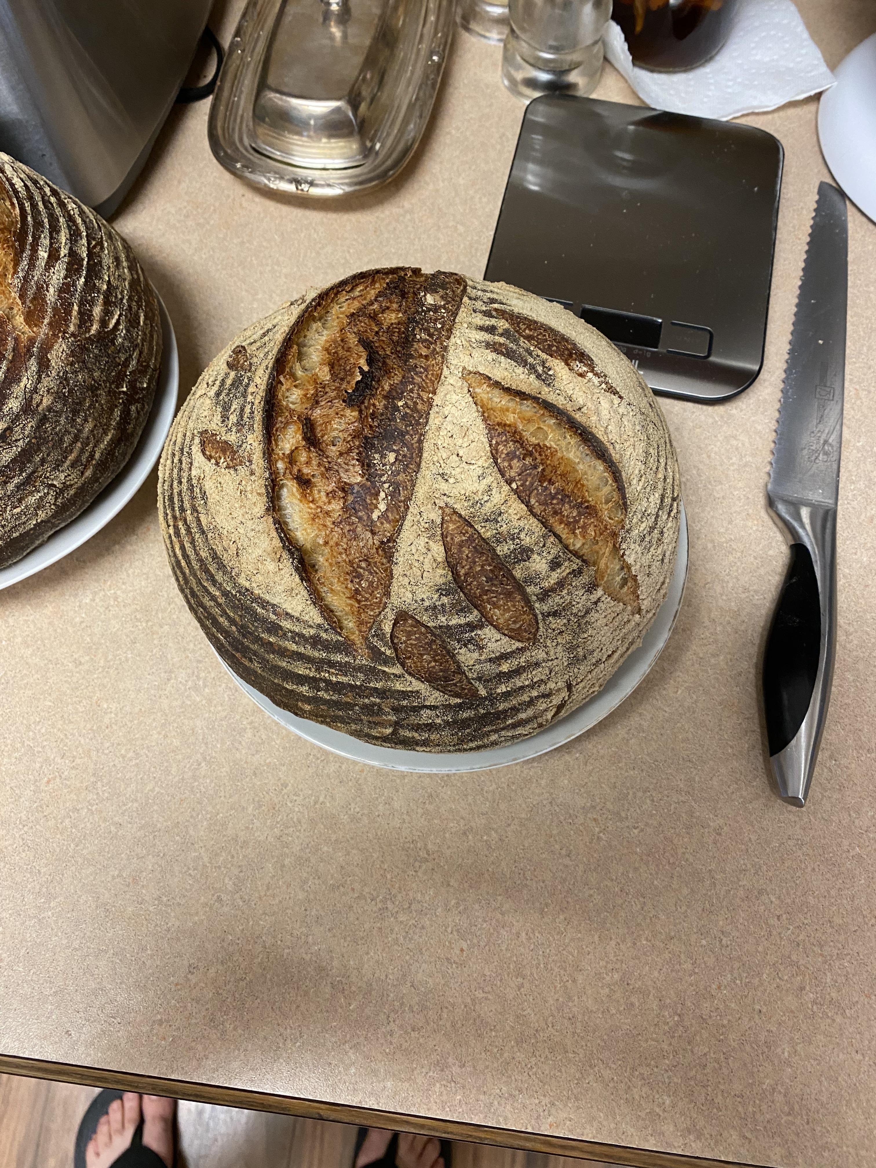 My first two loaves. How do they look? | Scrolller