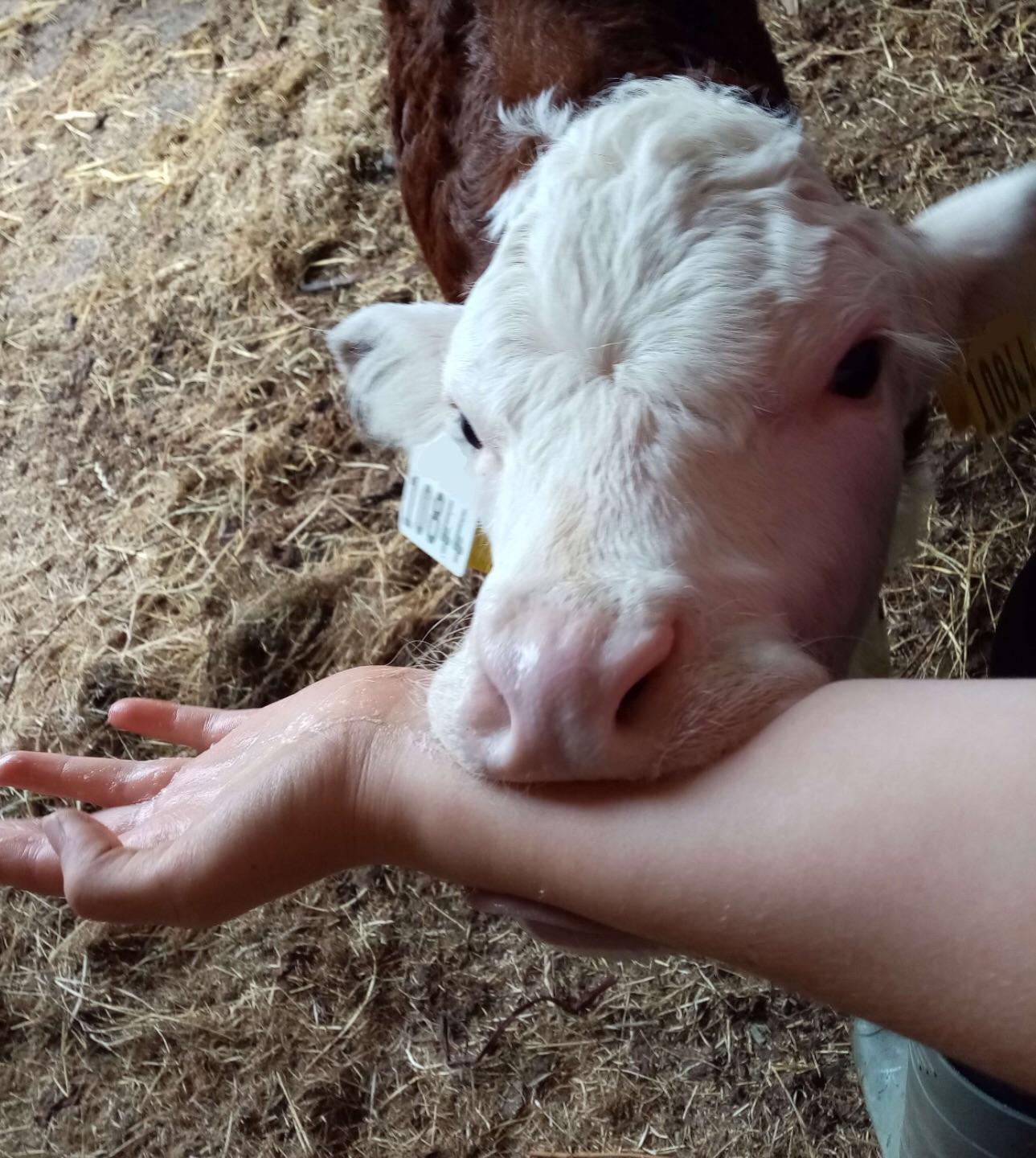 Nadine loved to chomp on me when she was a baby! | Scrolller