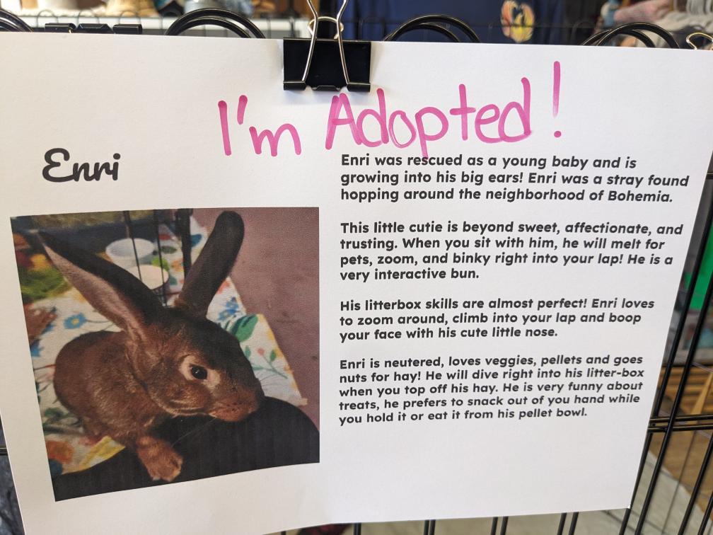 Met my new bun! | Scrolller