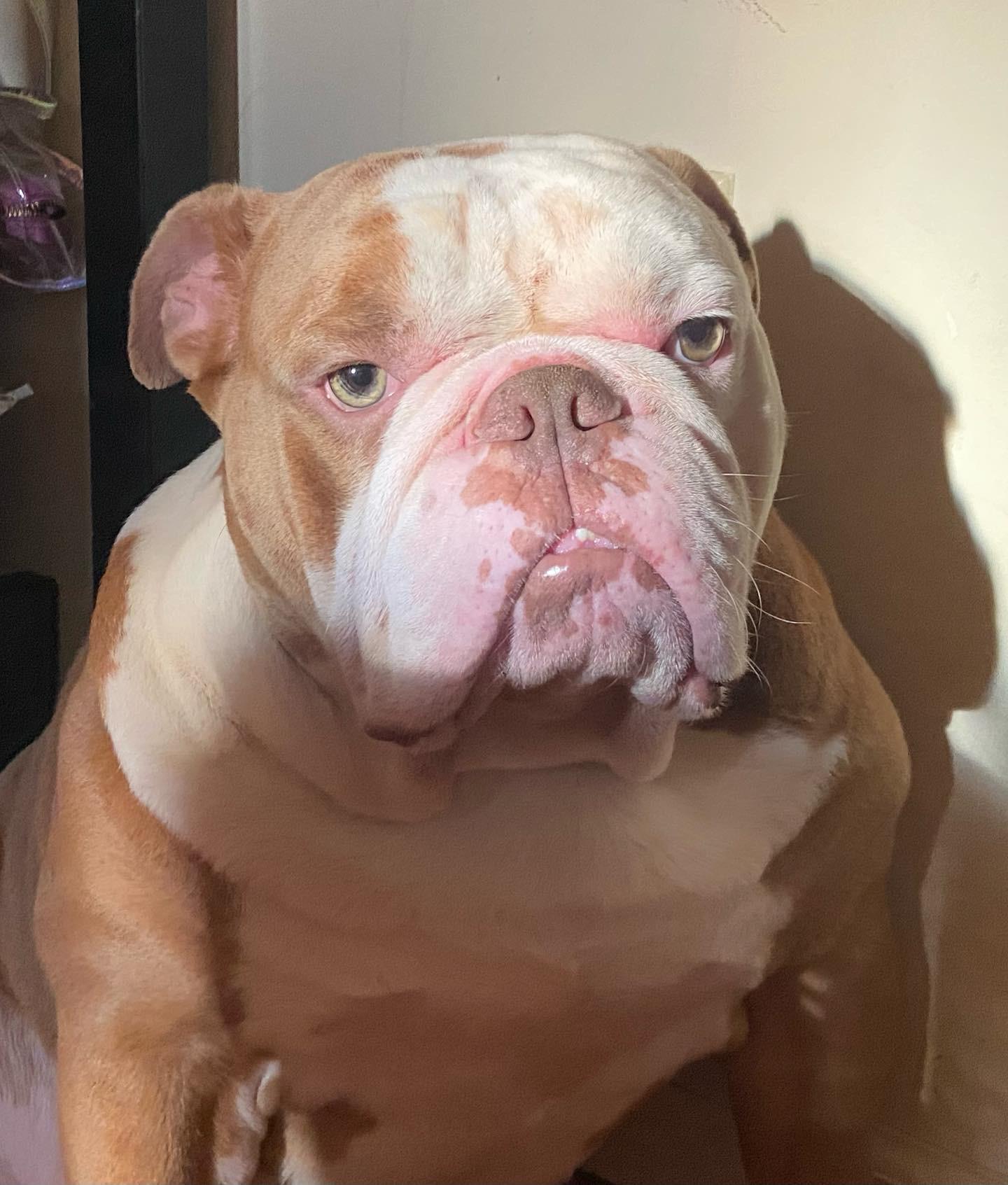 Catching some rays 💙🌞 | Scrolller