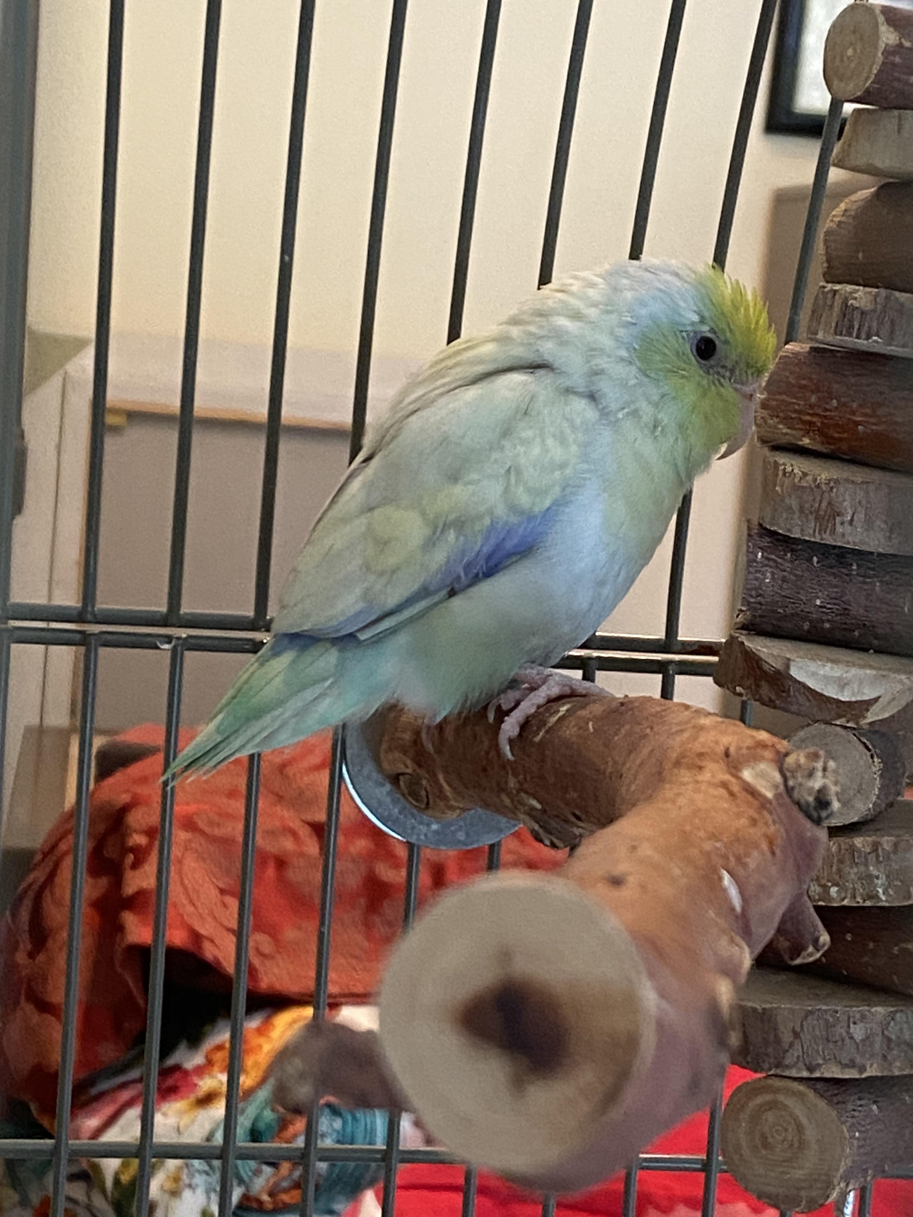 Any advice? | Scrolller