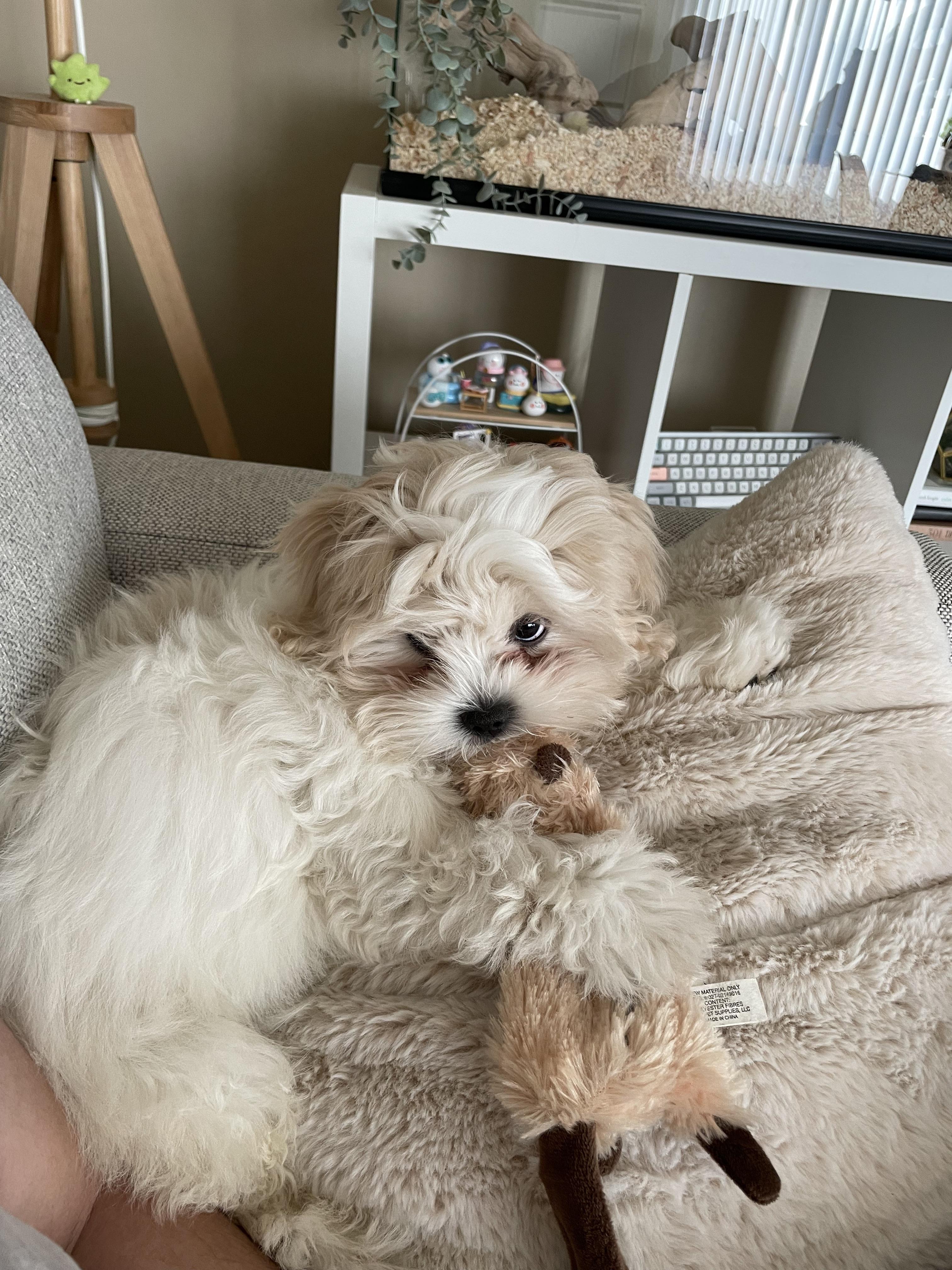 What is she plotting?? | Scrolller