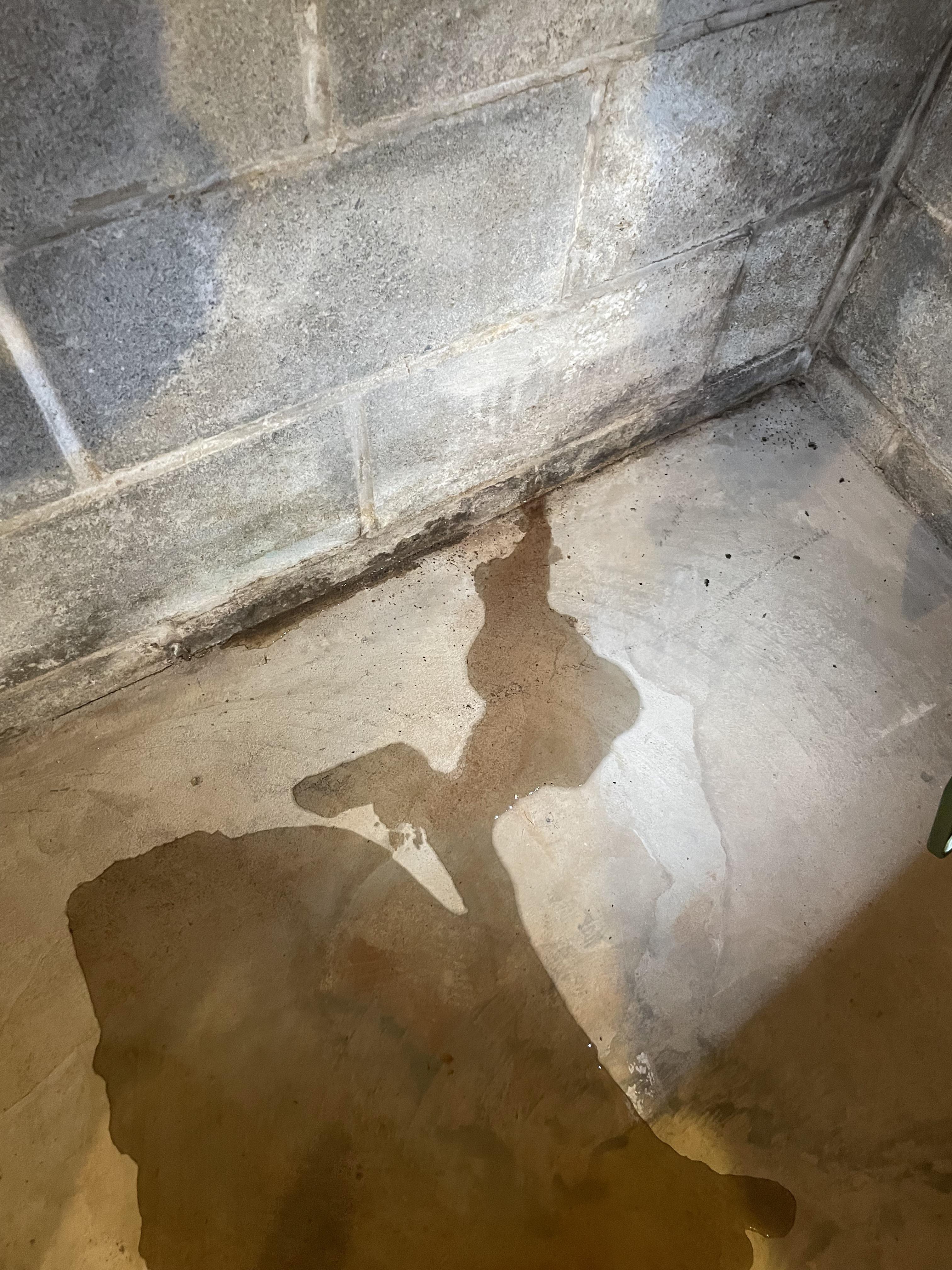 Water in basement | Scrolller