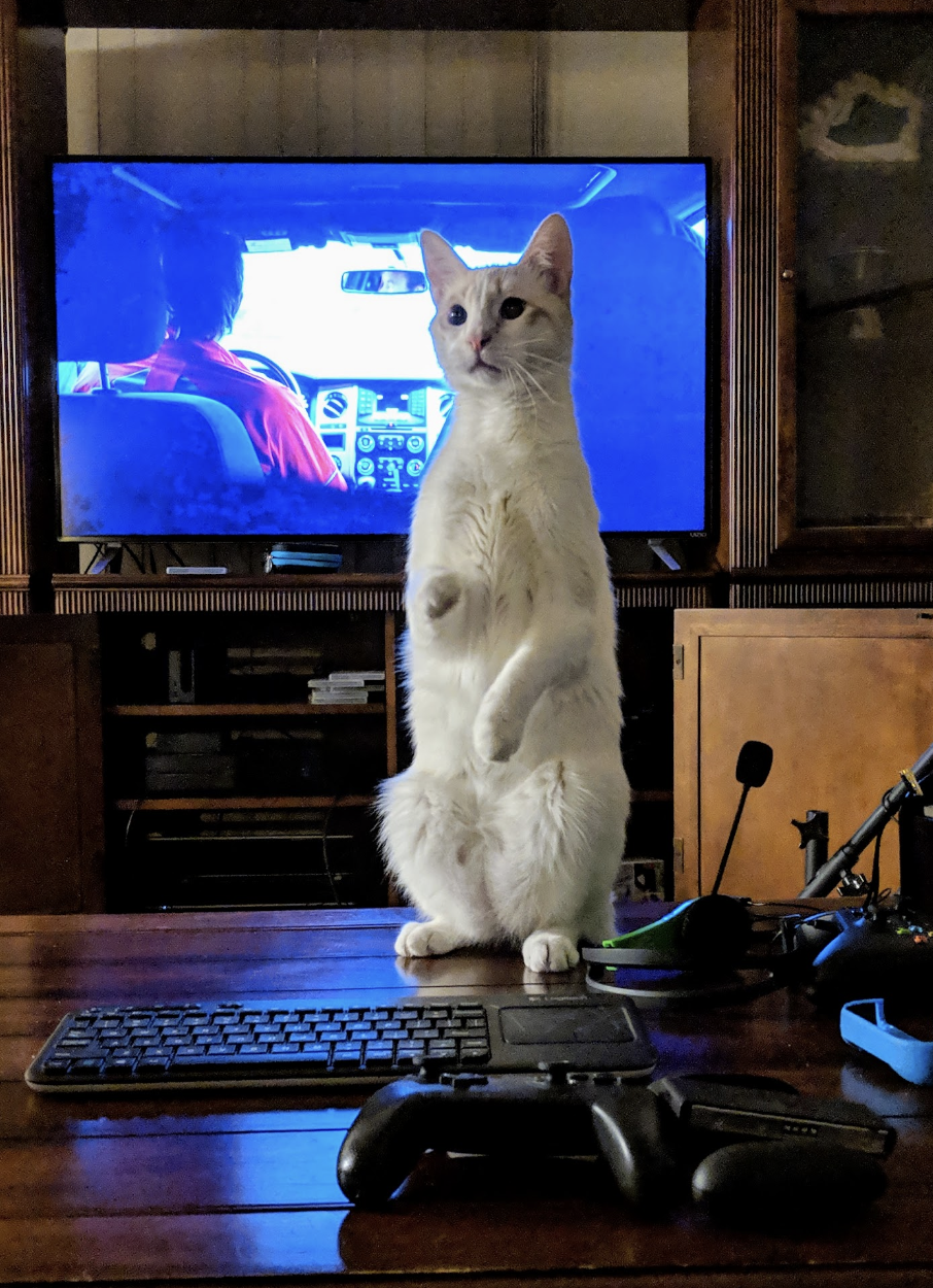 (OC) he sees ghosts... | Scrolller