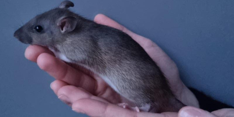 Special new babies | Scrolller