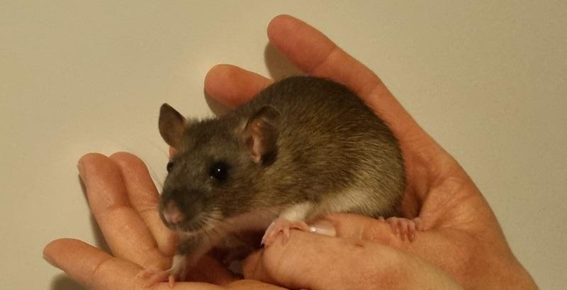 Special new babies | Scrolller