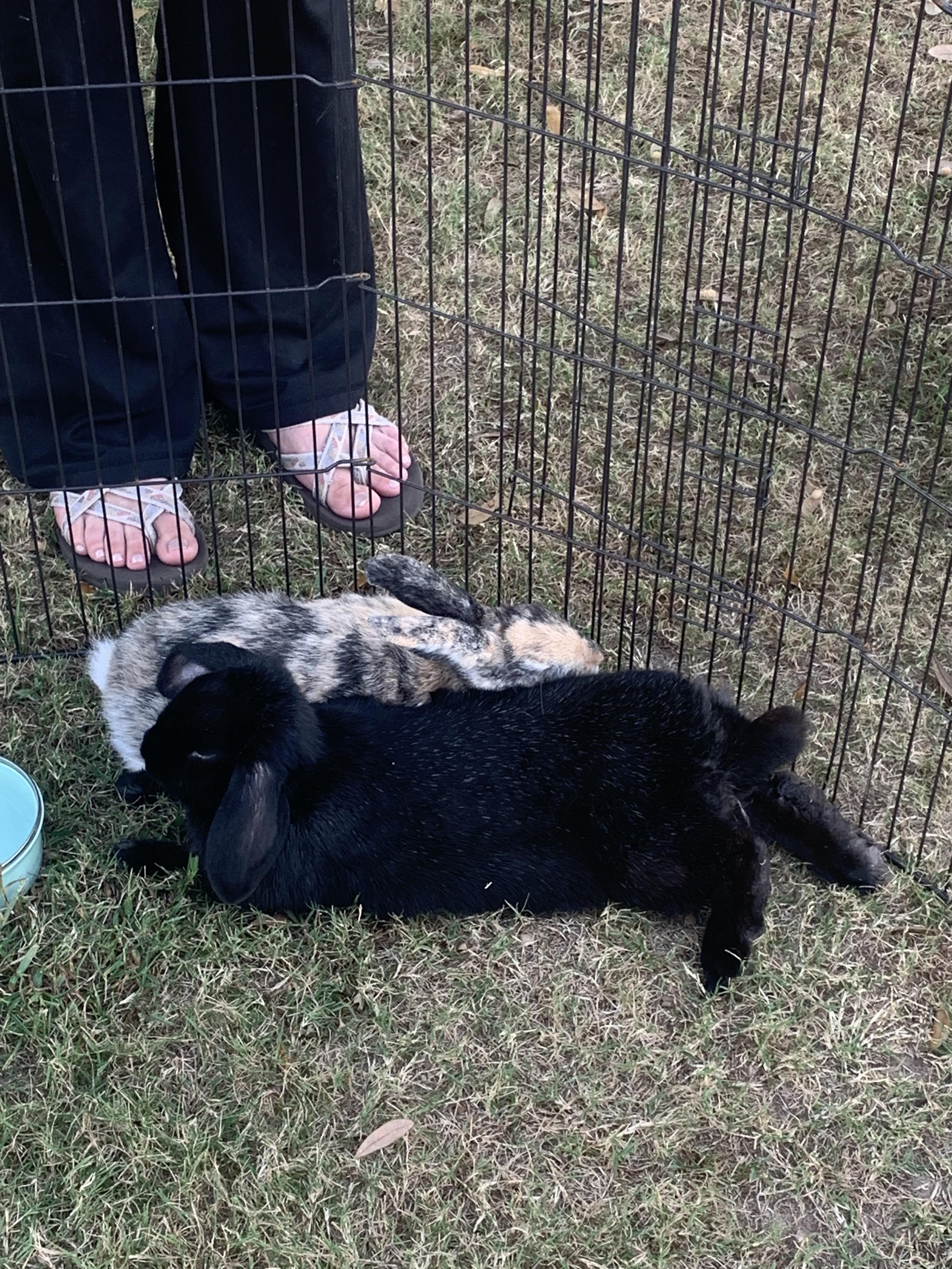 Bonding (Read comment) | Scrolller