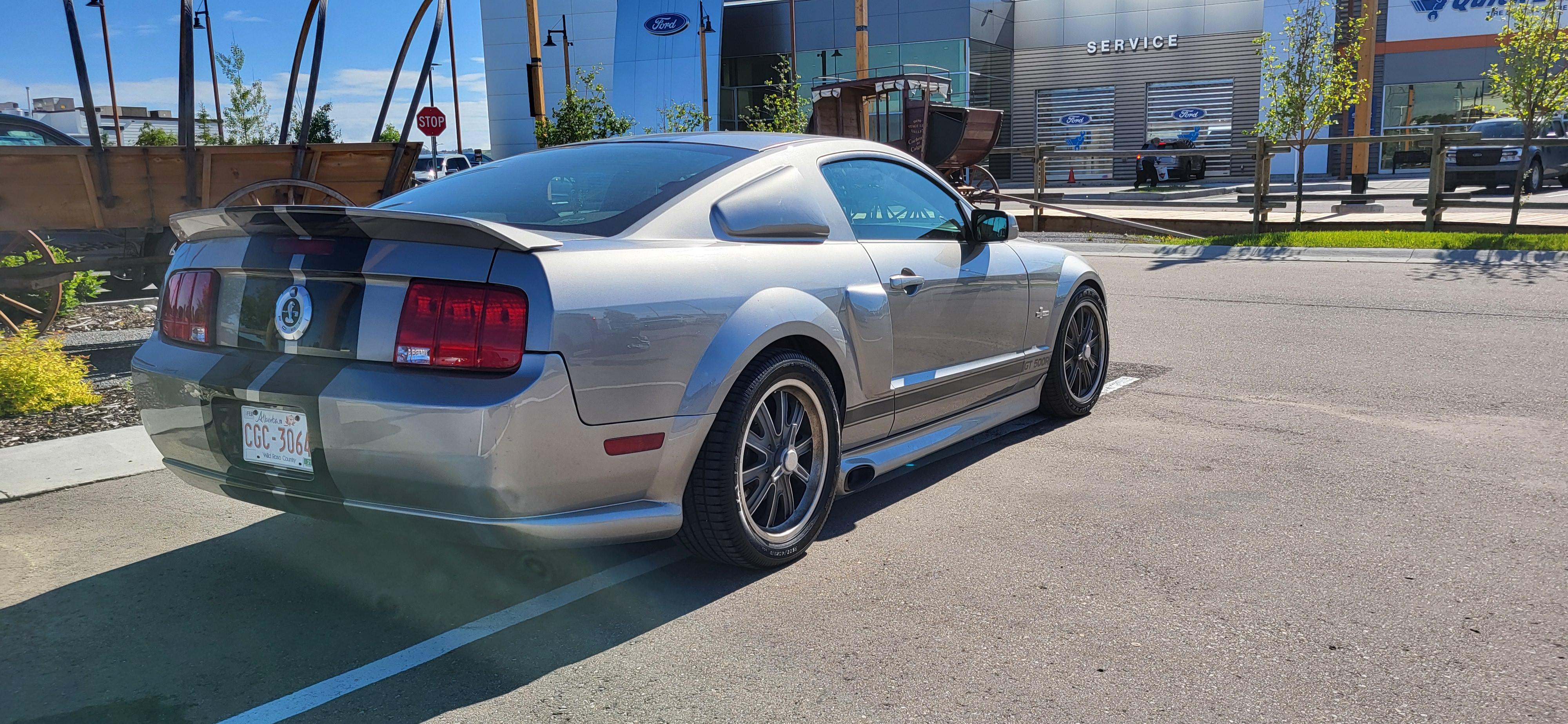 Help identifying mustang | Scrolller