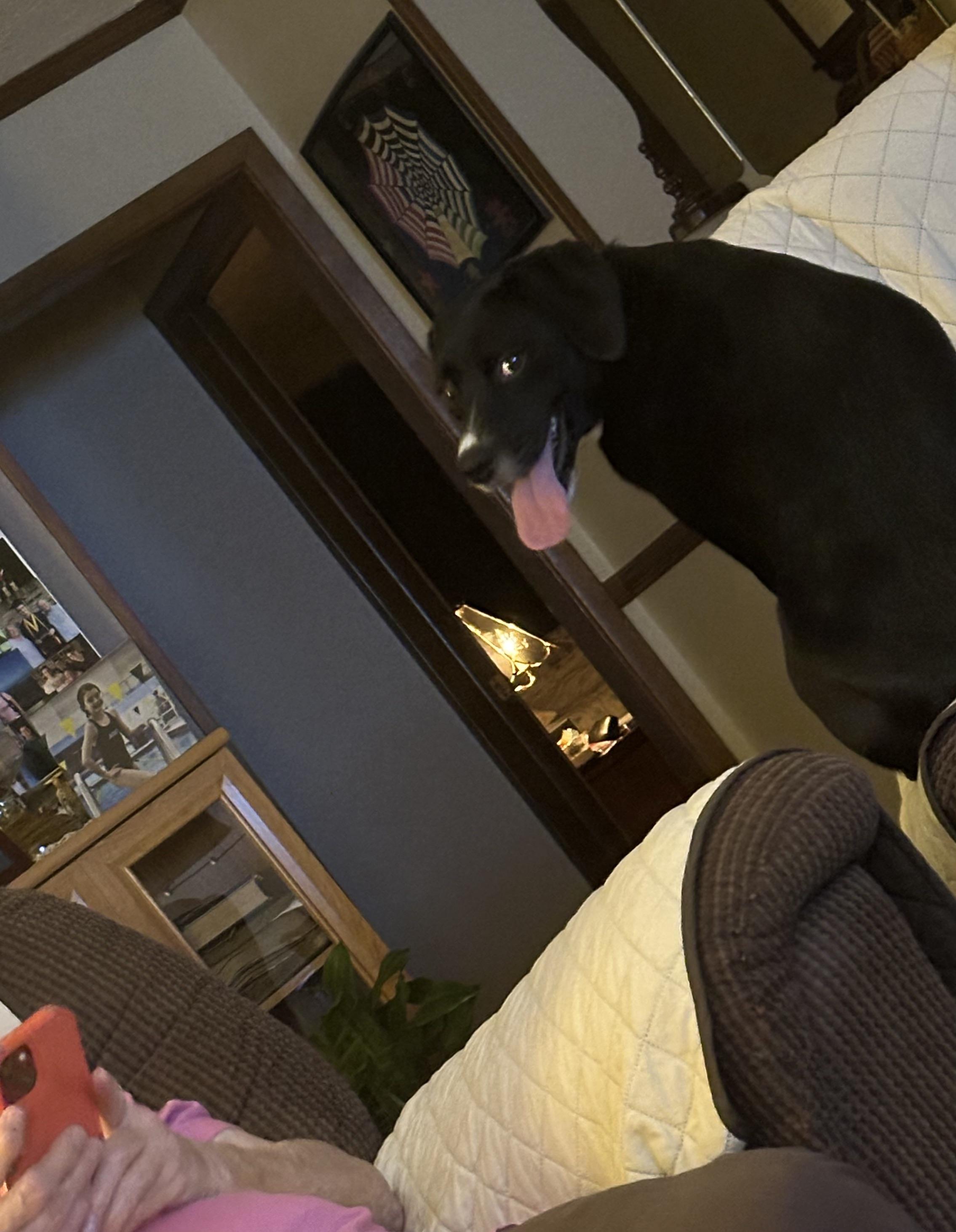 Discover more like Aww: This is Milo and Related Content | Scrolller