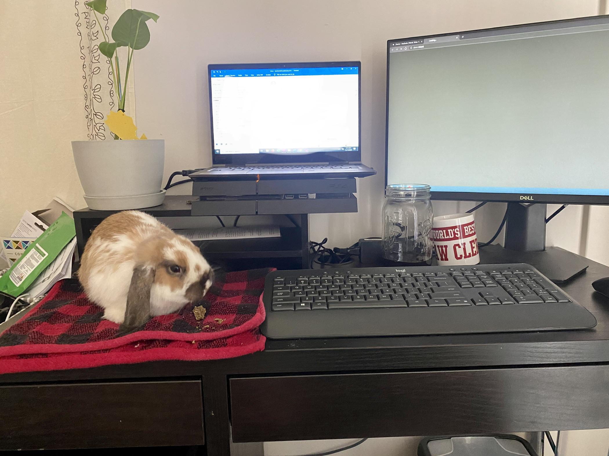 Rate my new setup. | Scrolller