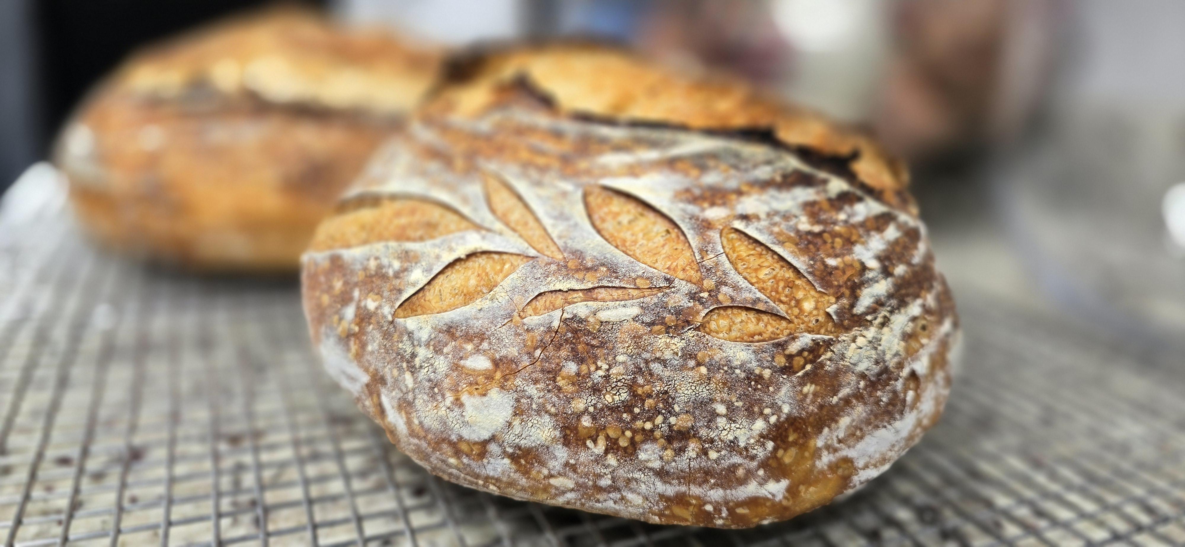 First loaves of Sourdough bread! | Scrolller