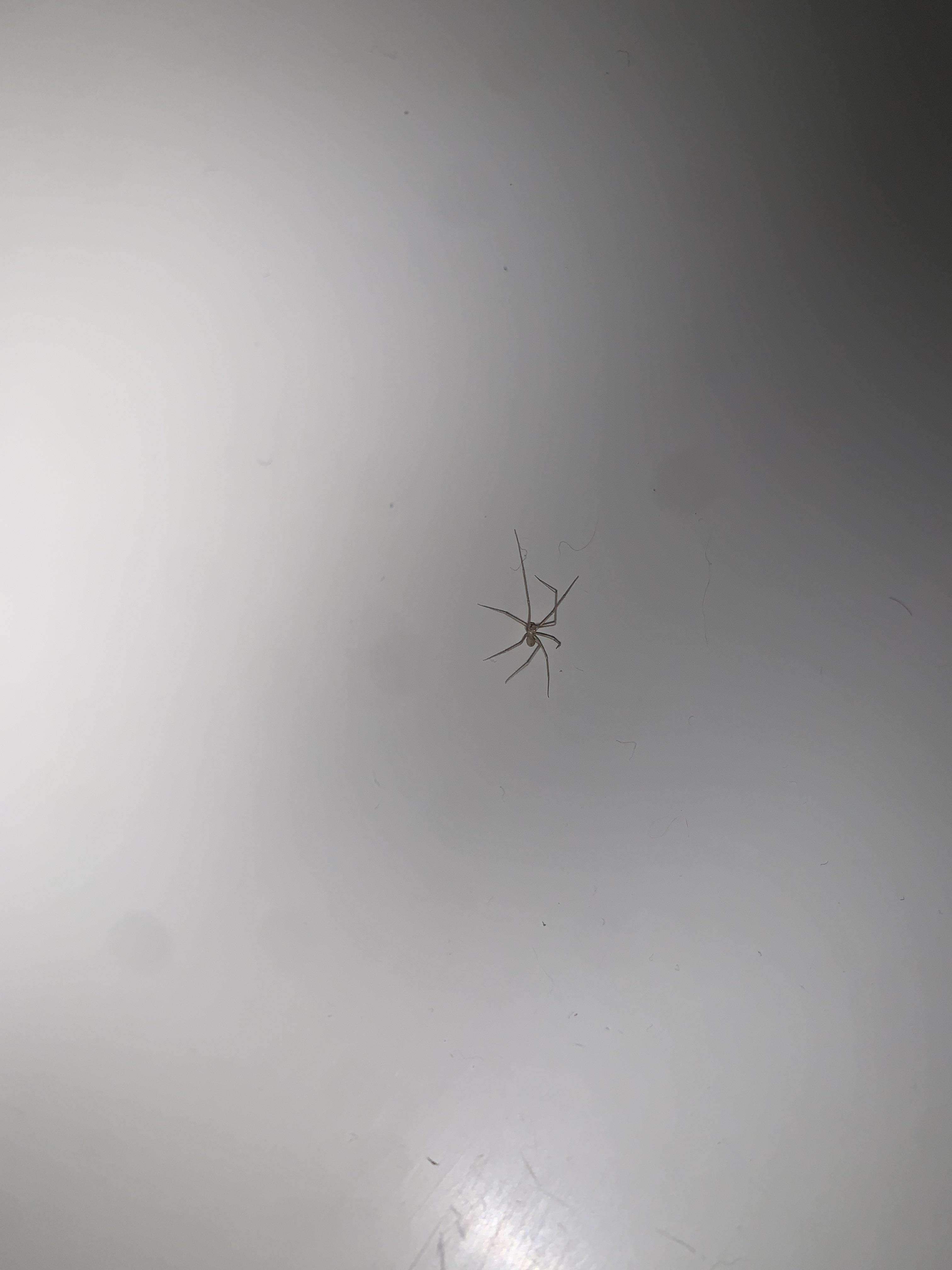 Discover more like Spiders: Help Identifying and Related Content | Scrolller